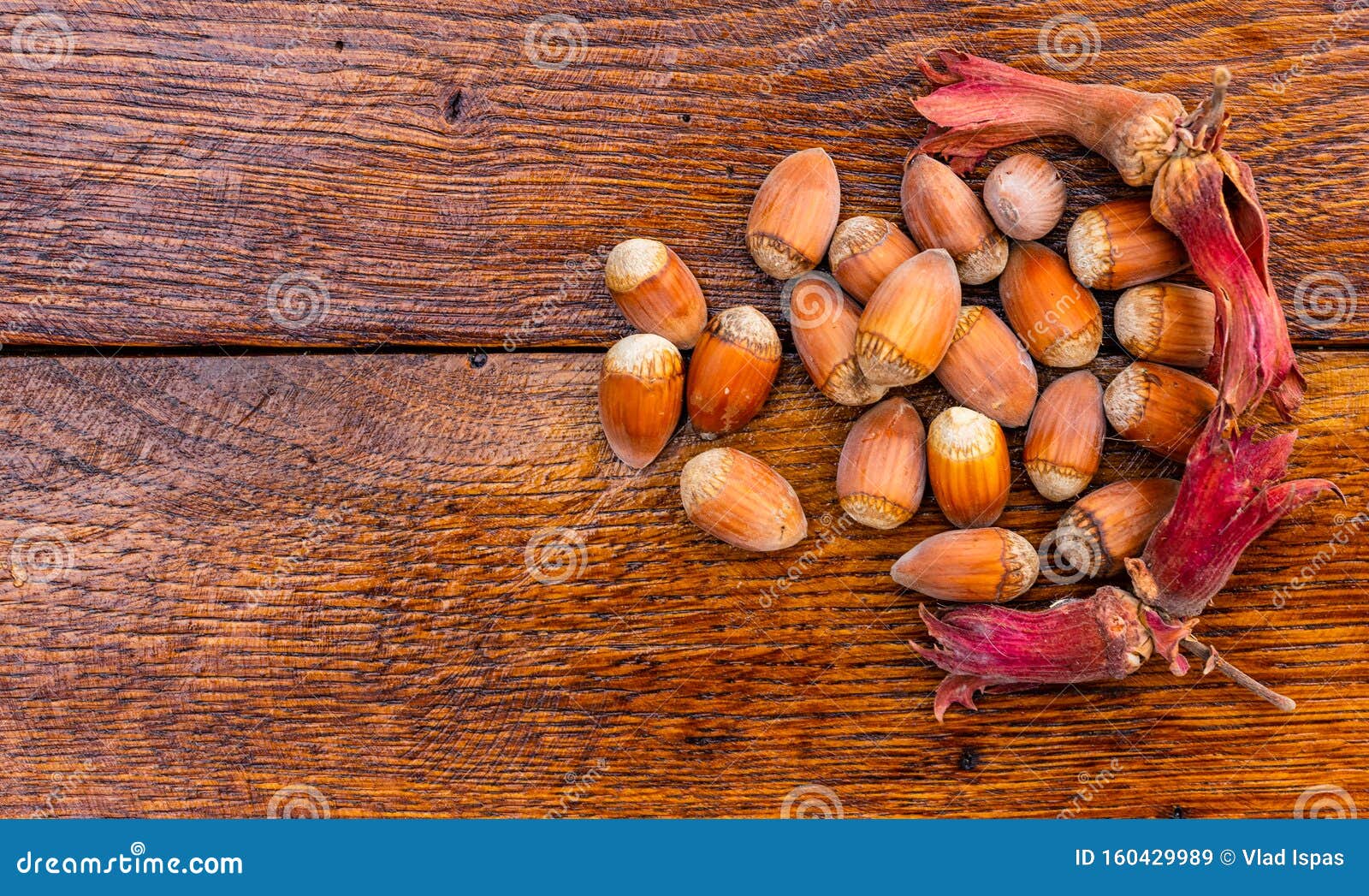 Red Hazelnuts on a Wooden Board. Isolated Hazelnuts Stock Image - Image ...