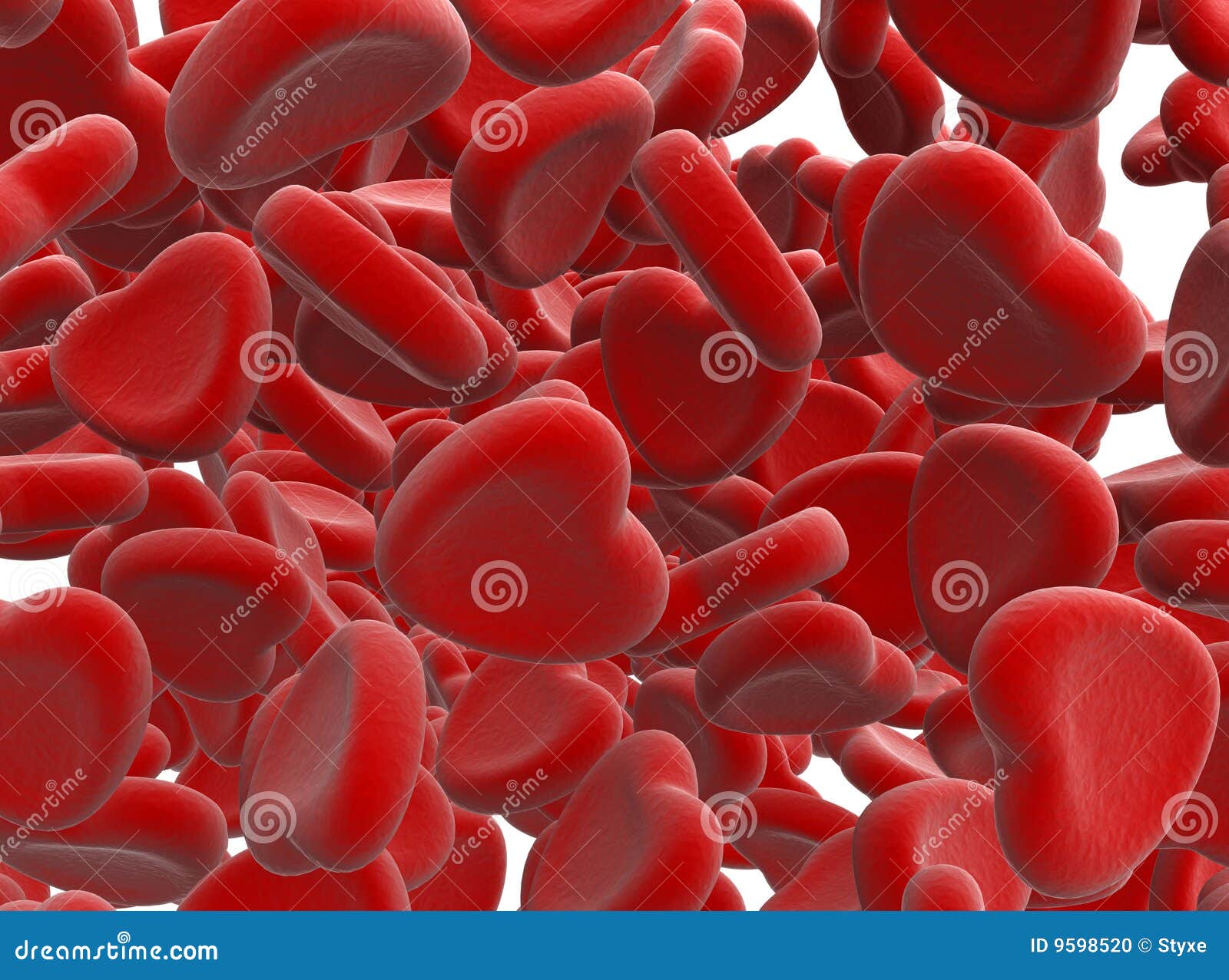 Heart With Blood Vessels, Arteries, Veins Anatomical Sketch. Human ...