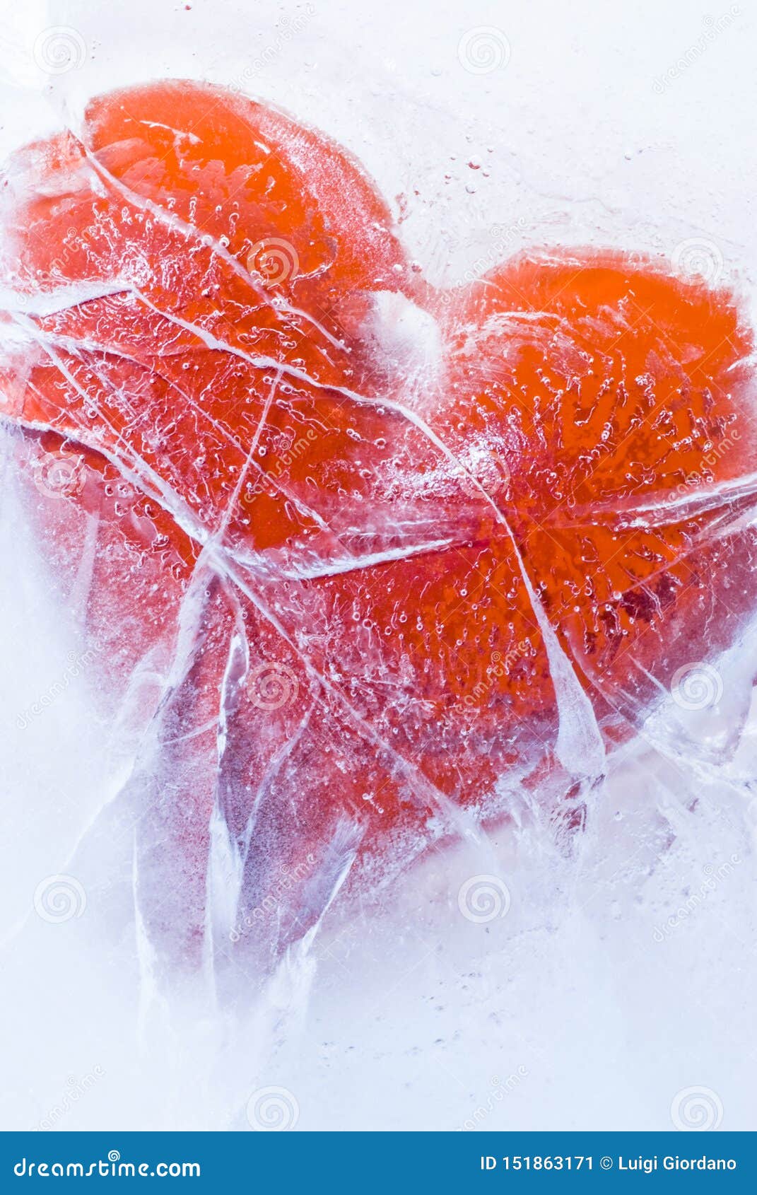 Heart of ice stock image. Image of relationship, coldness - 151863171