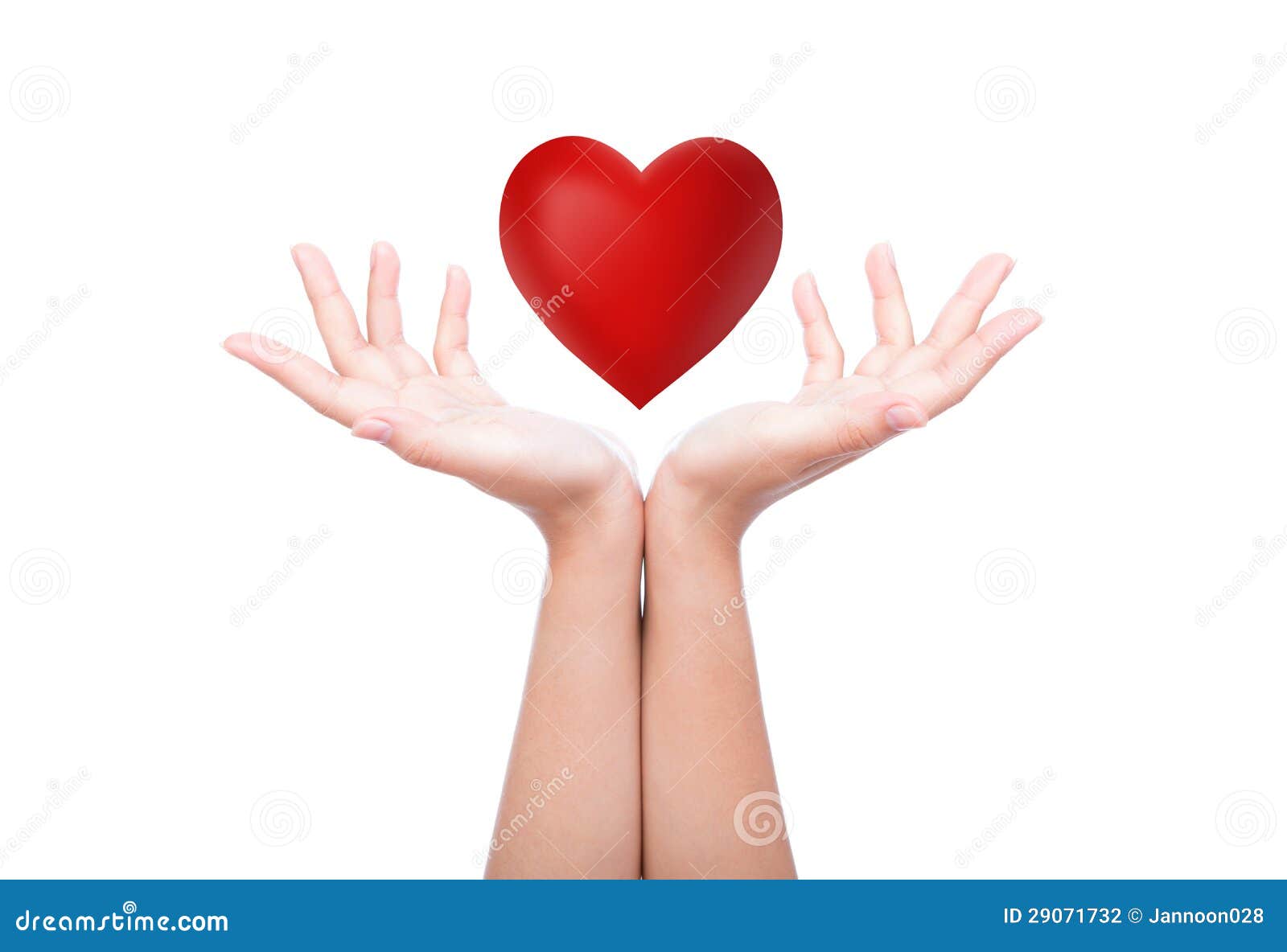 Red heart in hand stock photo. Image of people, female - 29071732