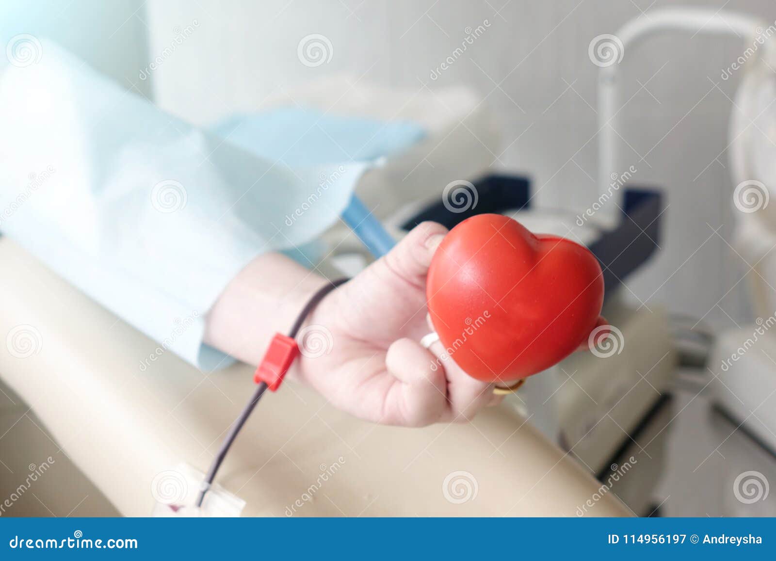 Red Heart in the Hands of the Donor. Stock Image - Image of help, donor ...