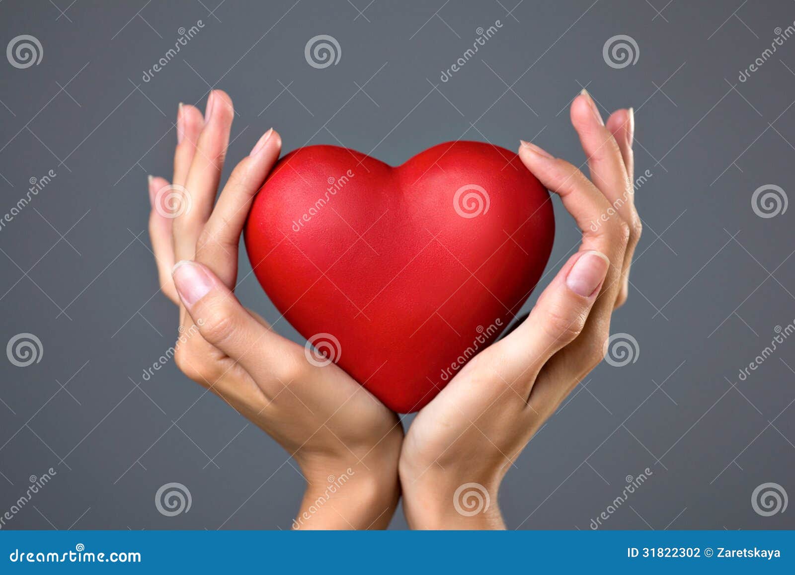 Red heart in hands stock photo. Image of charity, hope - 31822302