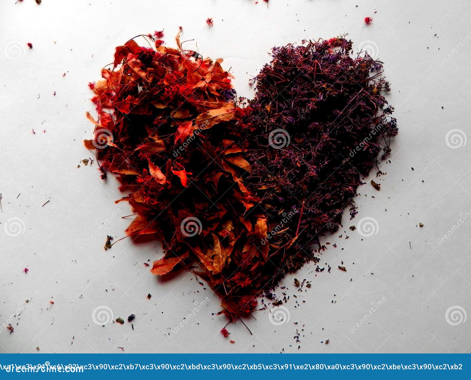 Red heart stock photo. Image of backgrounds, collected - 92802206