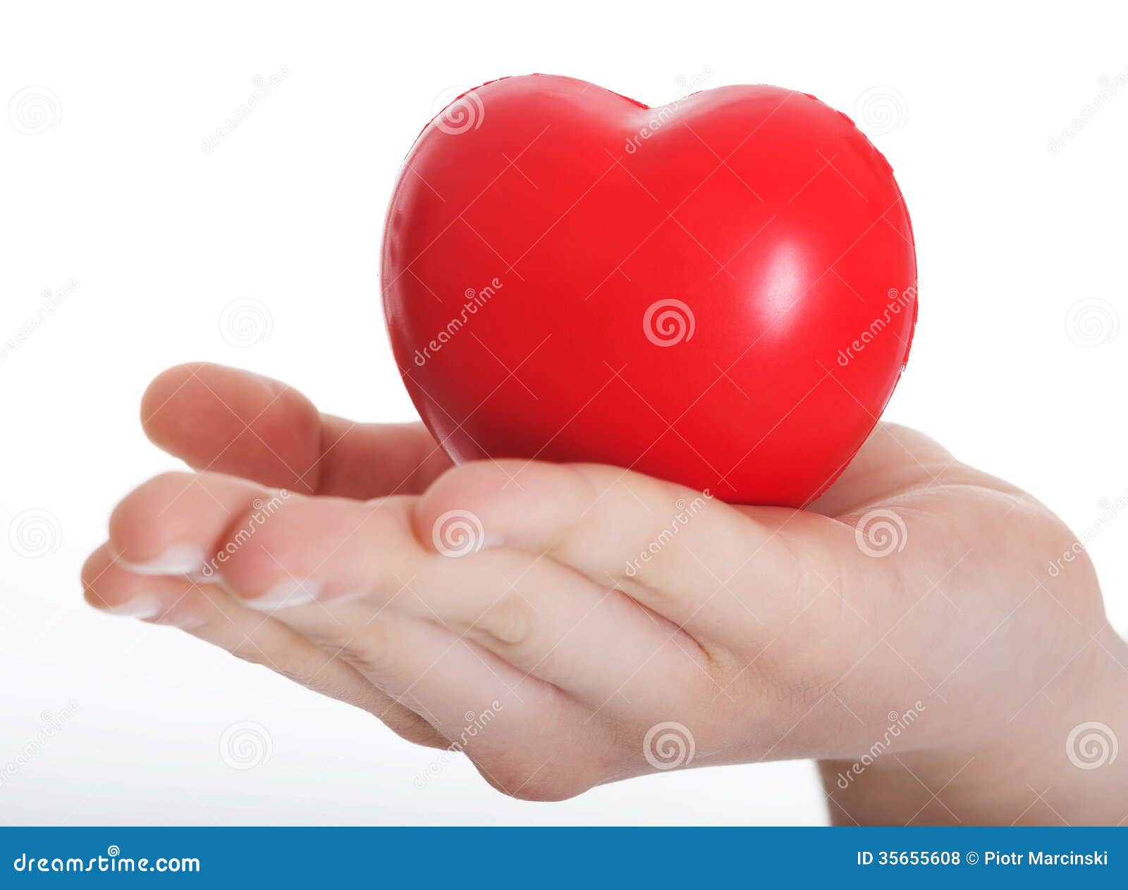 Red Heart Held on a Female S Hand. Stock Photo - Image of hand ...