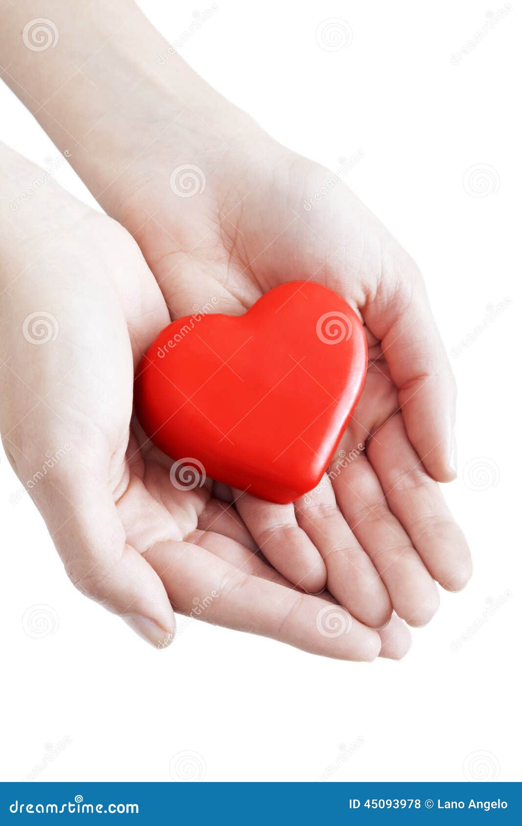 Red heart in man hands stock photo. Image of valentine - 45093978