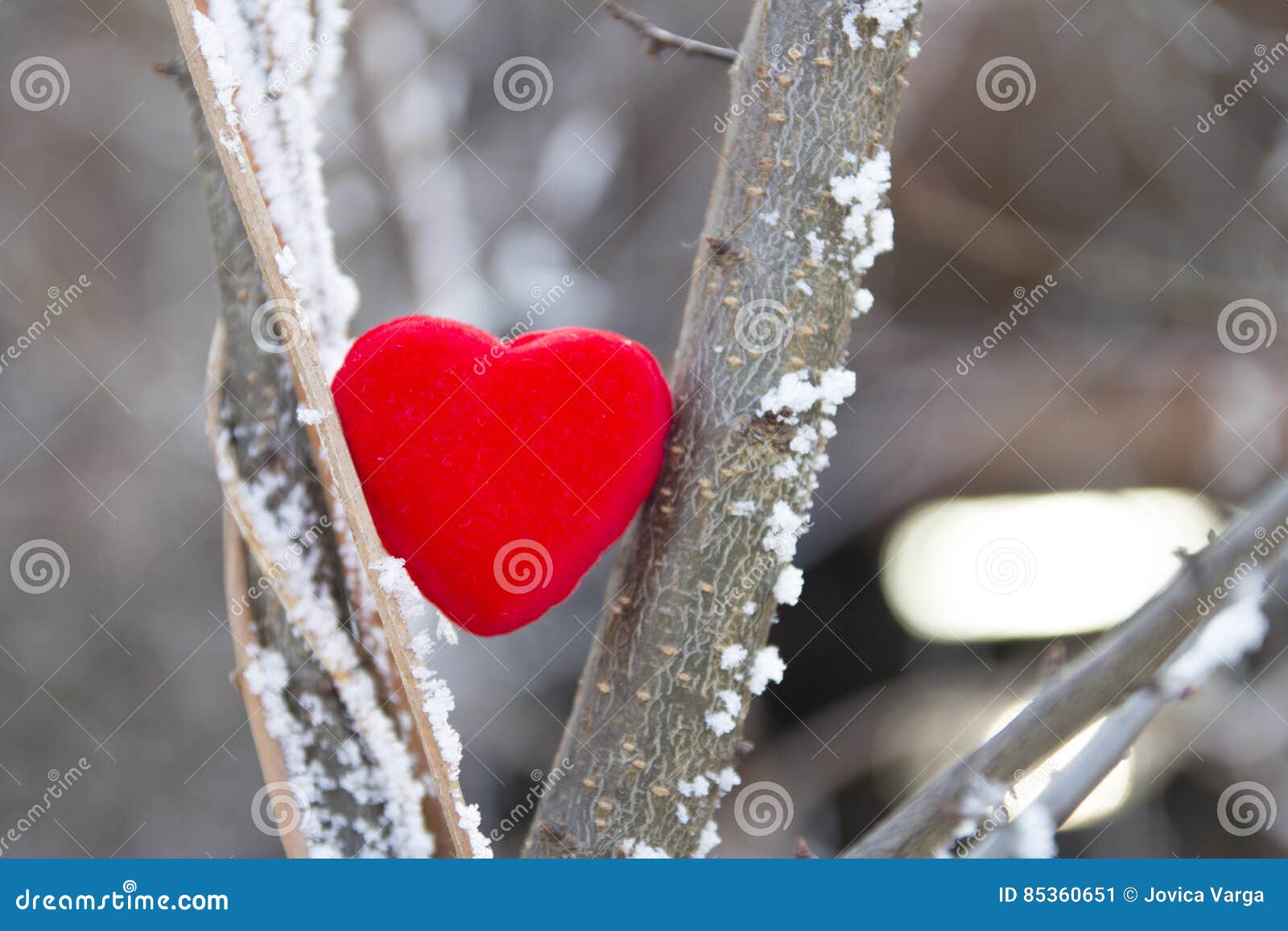 Red Heart in Nature Decoration Stock Image - Image of copy, decoration ...