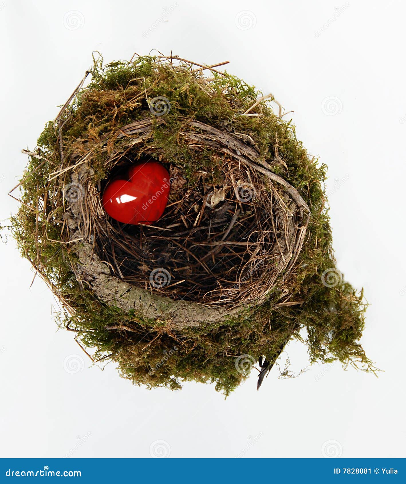 Red heart in nest stock image. Image of home, card, postcard - 7828081