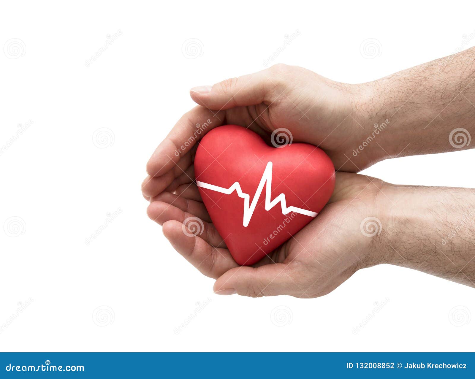 Red Heart with Pulse in Man`s Hands. Stock Photo - Image of organ ...