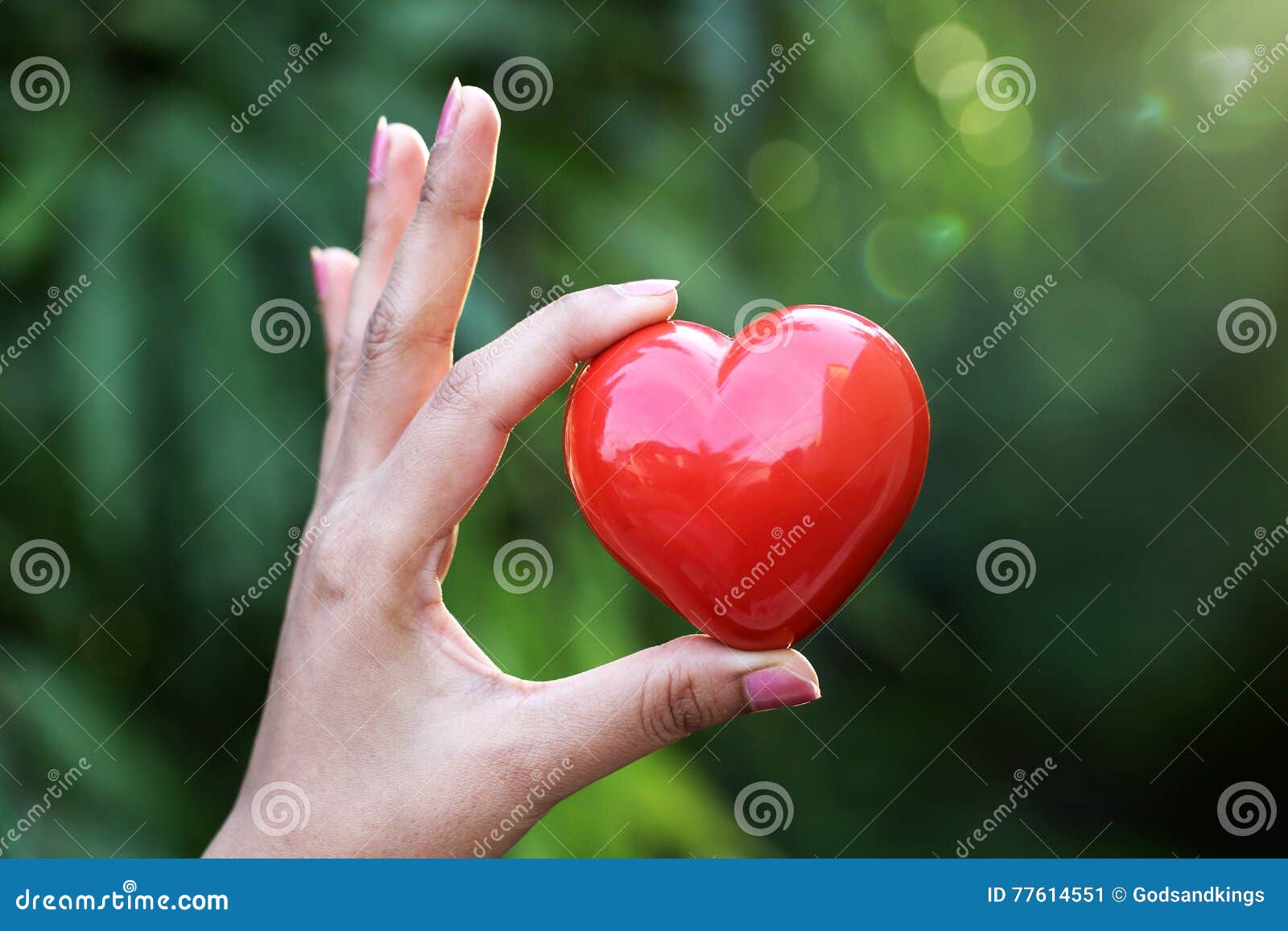 Red Heart Shape in the Hands Against Green Stock Image - Image of ...