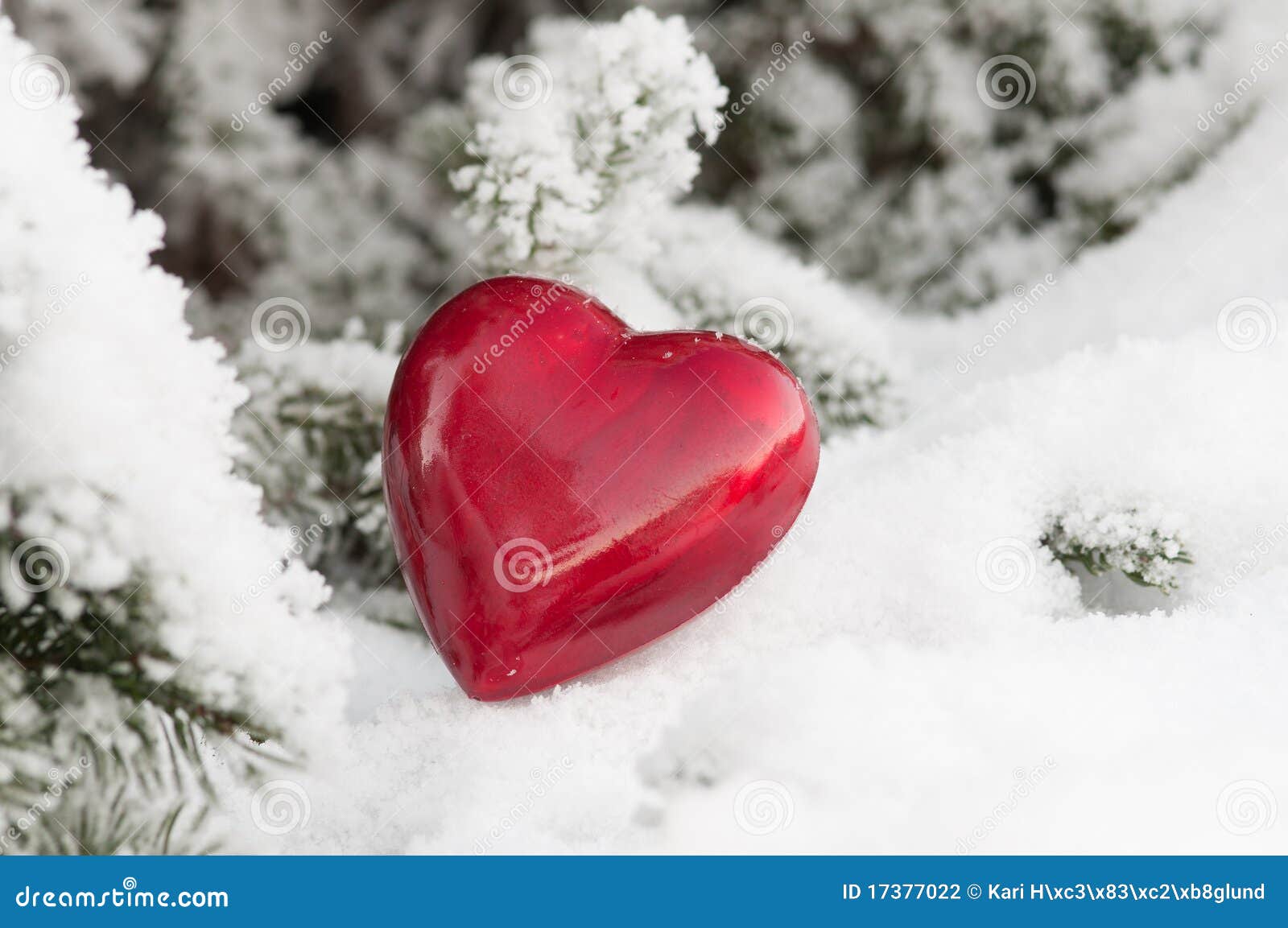 Red Heart In Snow