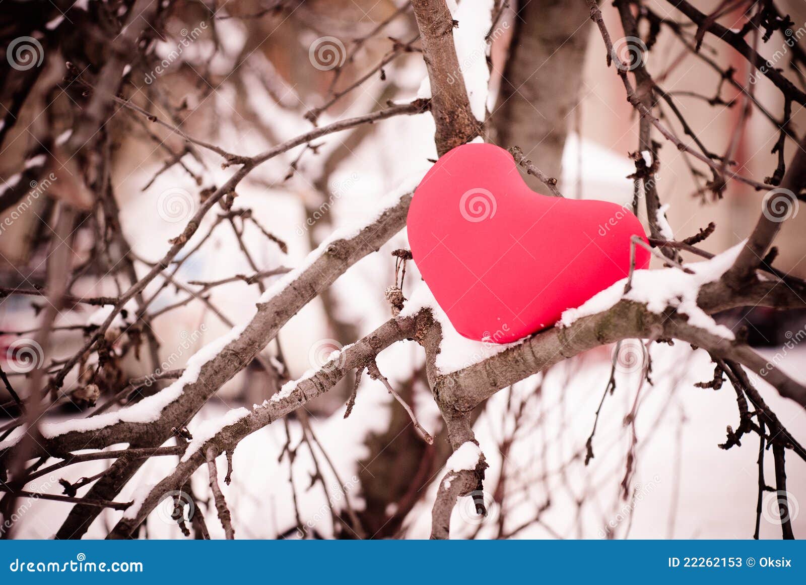 Red heart on snow tree stock image. Image of love, branch - 22262153