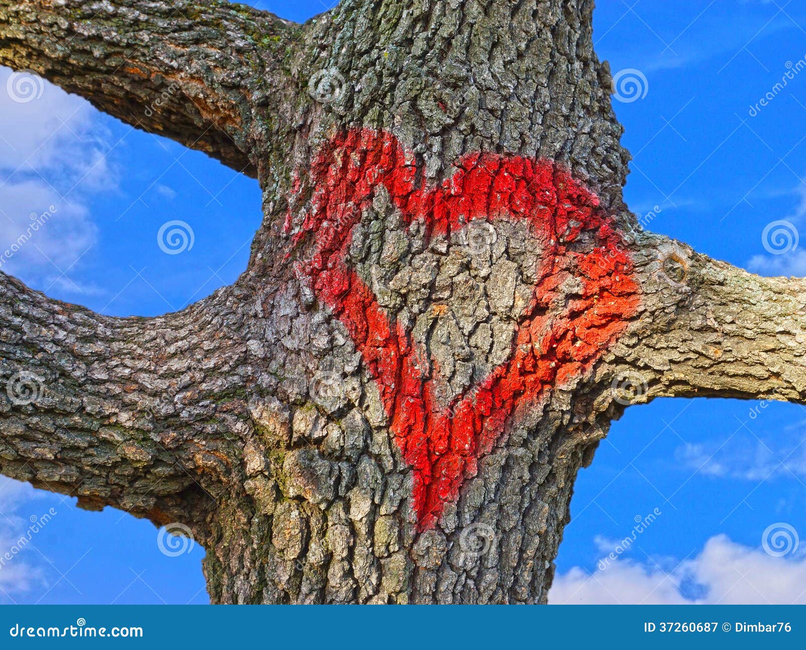 Red heart on tree bark stock image. Image of abstract - 37260687
