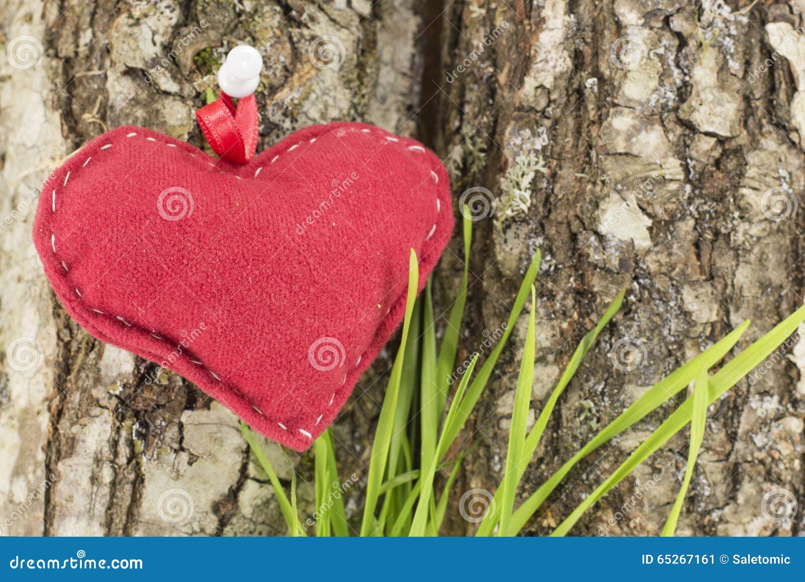 Red heart on a tree bark stock image. Image of romantic - 65267161