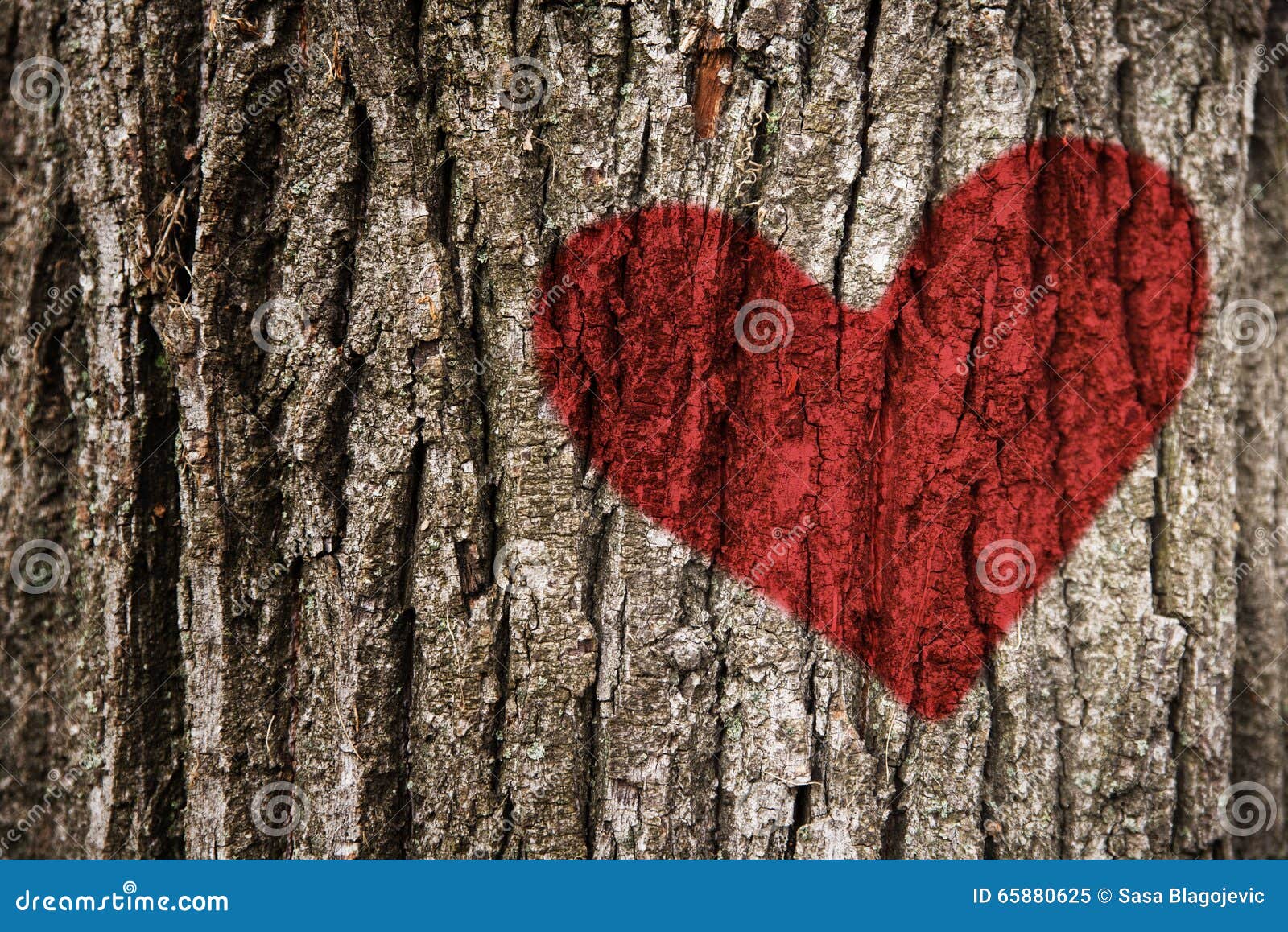 Red Heart on the on Tree Bark Stock Image - Image of rustic, textures ...