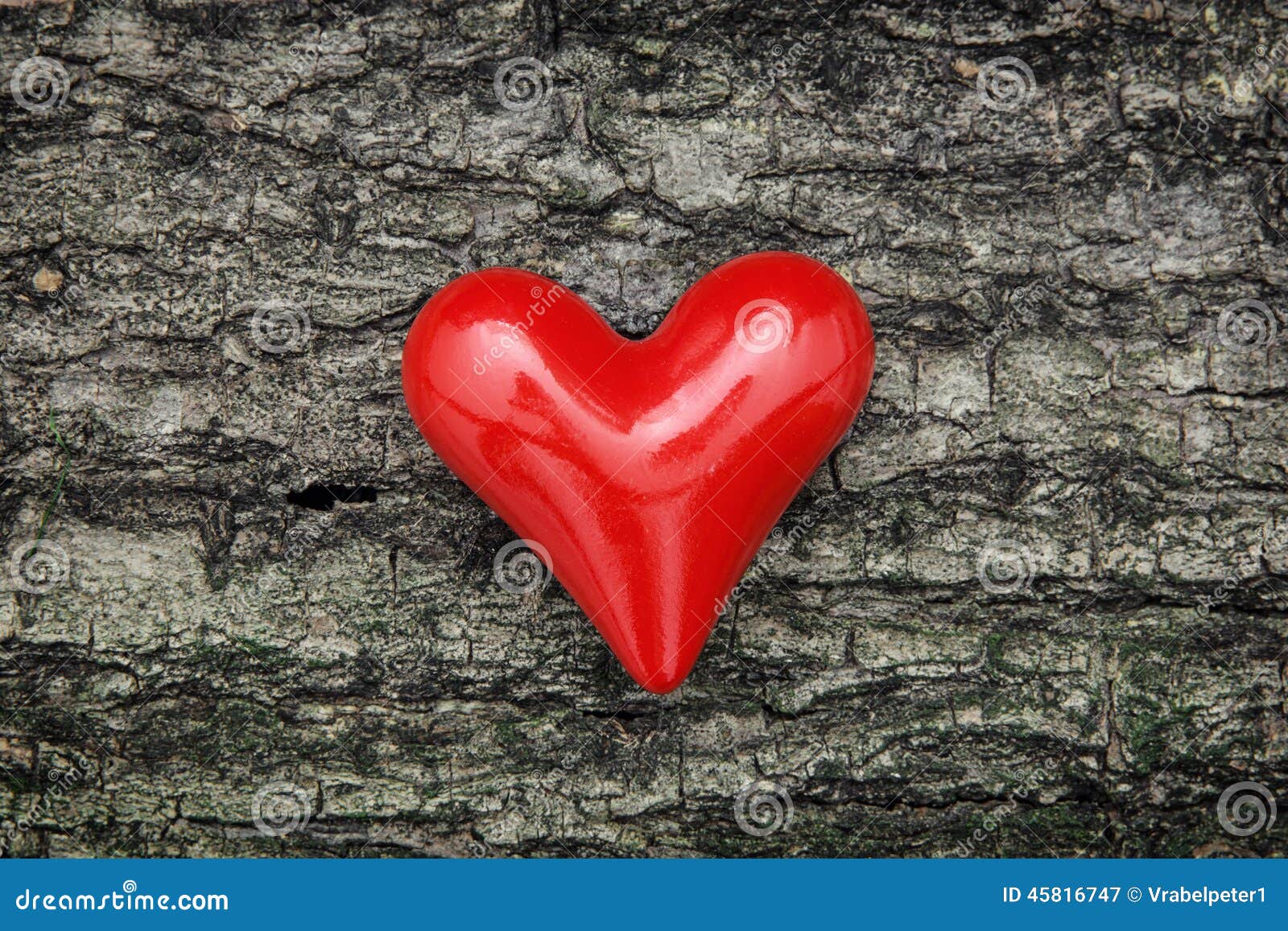 Red heart on the tree bark stock image. Image of bark - 45816747