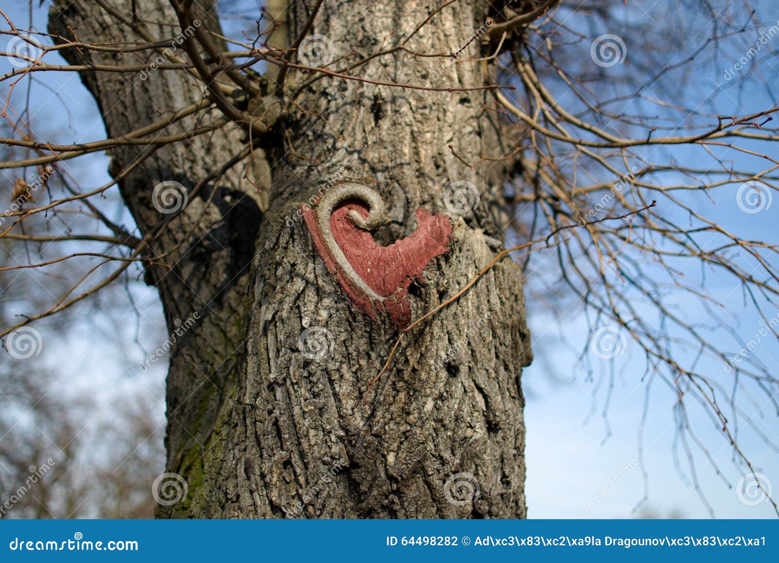 Red heart on the tree stock photo. Image of brown, tree - 64498282