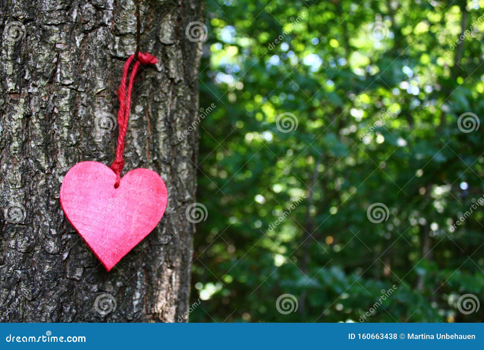 Red Heart on a Tree in the Forest Stock Photo - Image of romantic, love ...