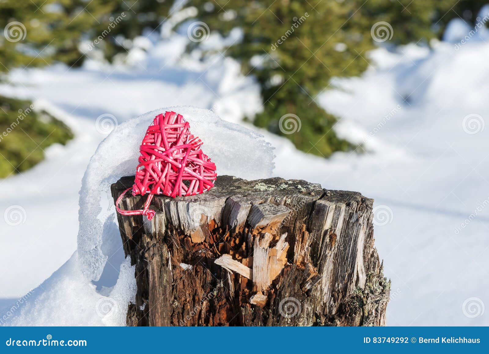 Red Heart on a Tree Stump in the Winter Forest Stock Photo - Image of ...