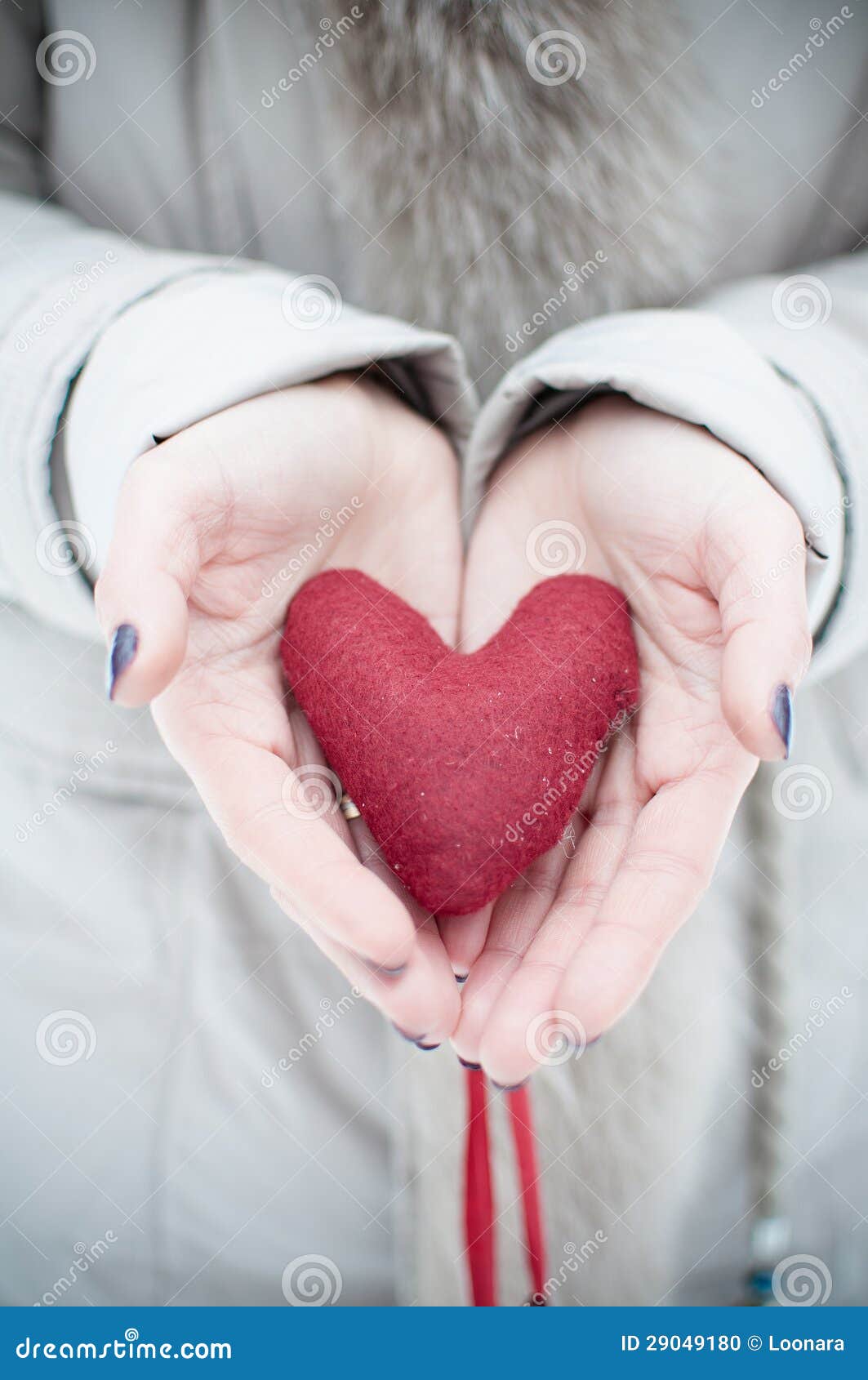 Red heart in woman hands stock photo. Image of feelings - 29049180