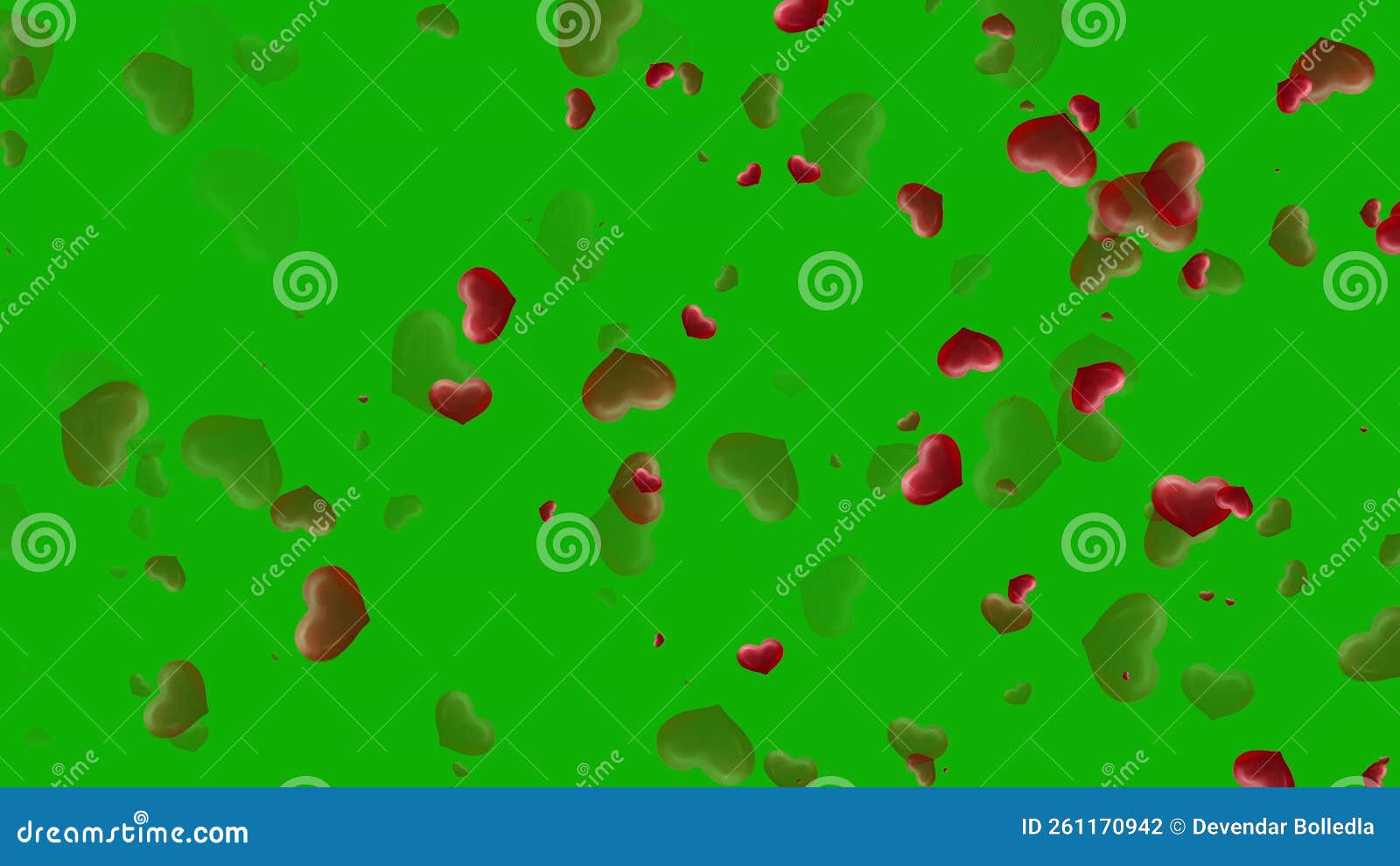 Red Hearts Motion Graphics with Green Screen Background Stock Footage ...