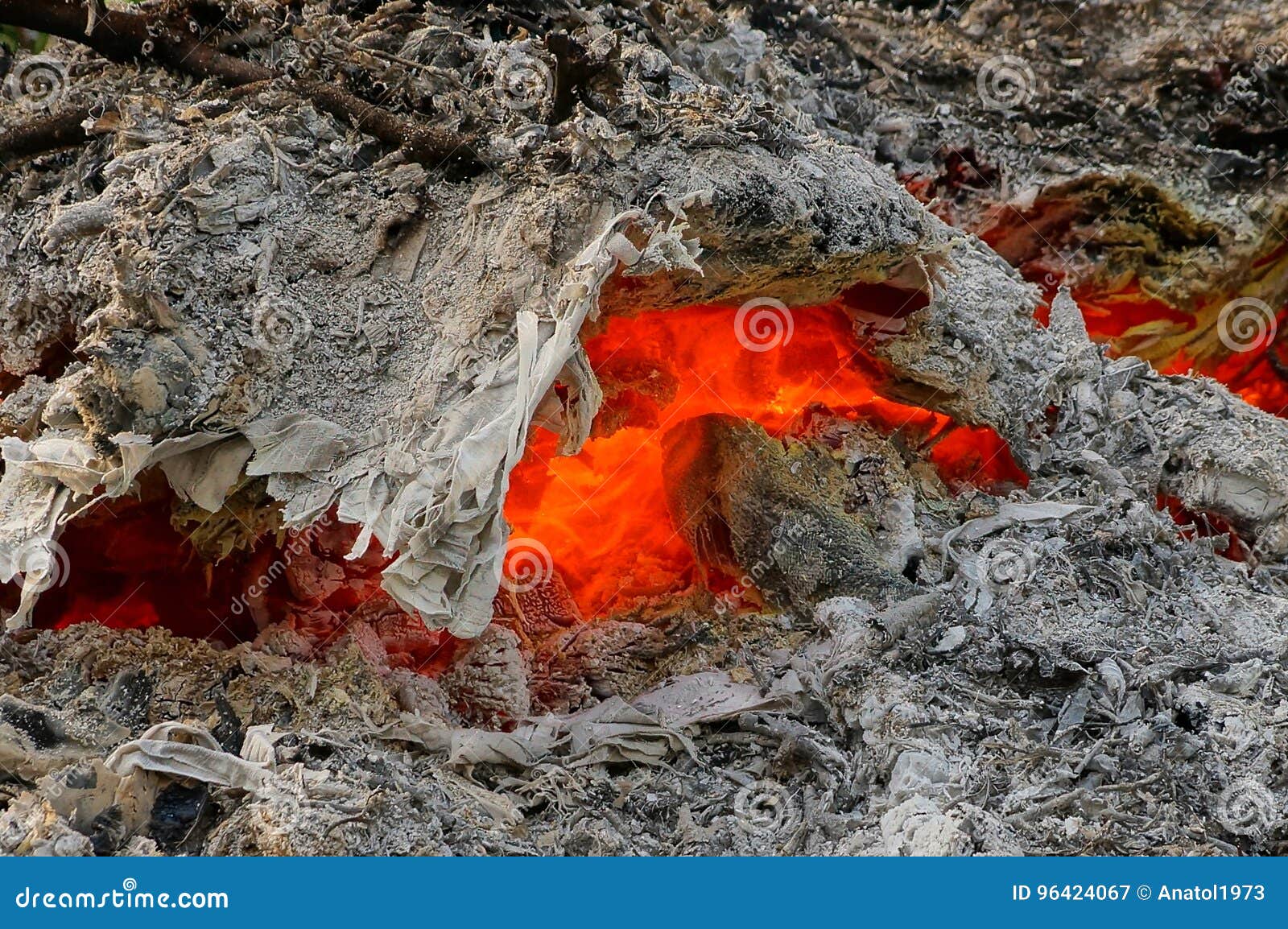 Red Heat among the Gray Ash in a Dying Fire Stock Image - Image of ...