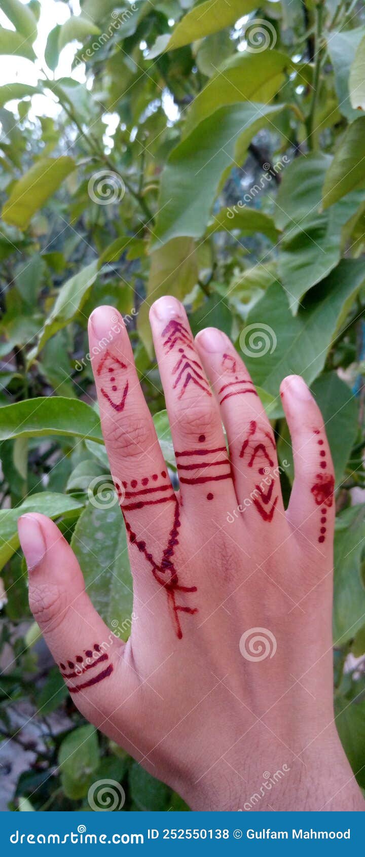 Red henna o stock photo. Image of hand, green, nature - 252550138