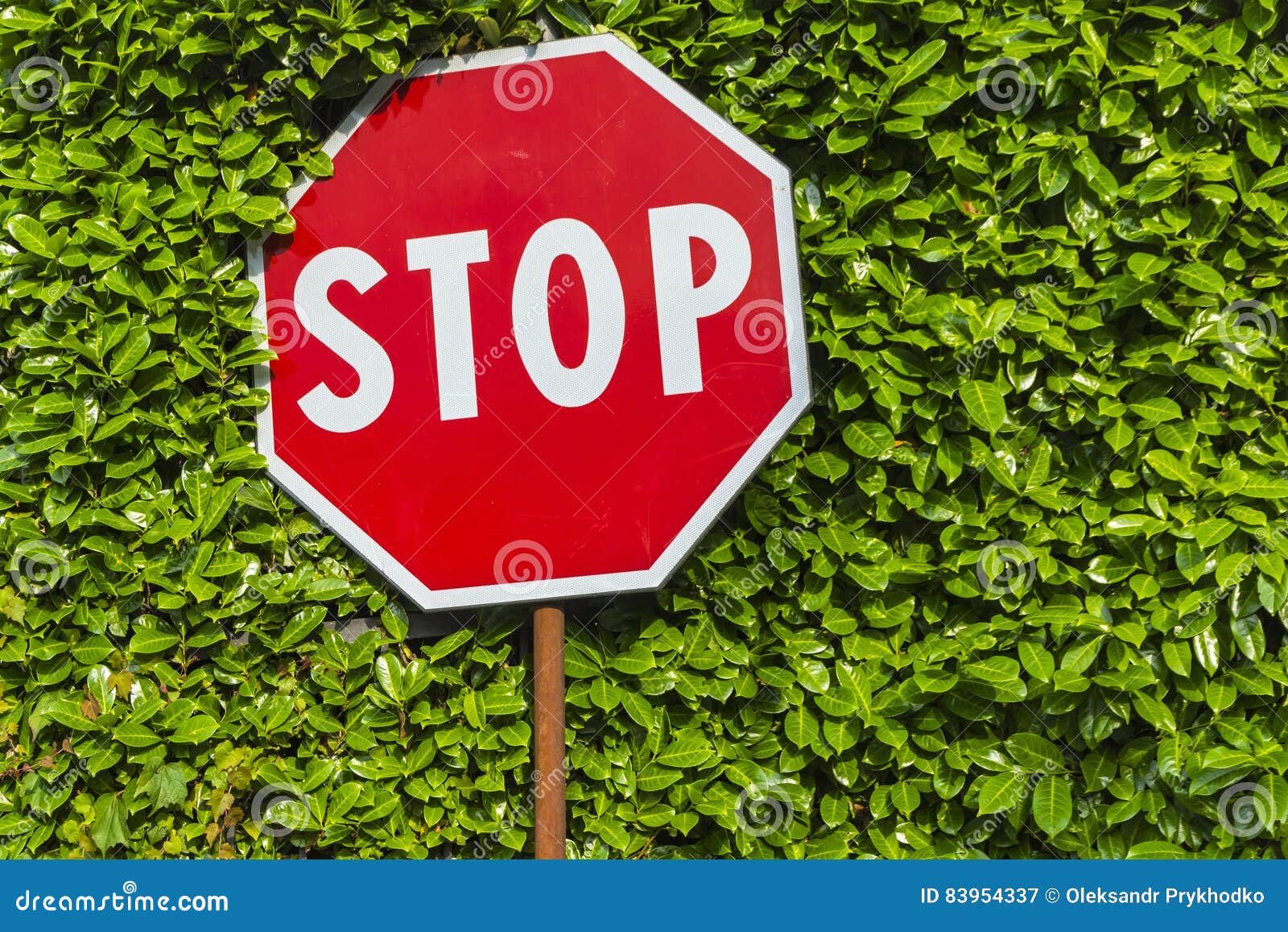 Red Hexagonal Stop Sign on Metal Pole Stock Image - Image of message ...