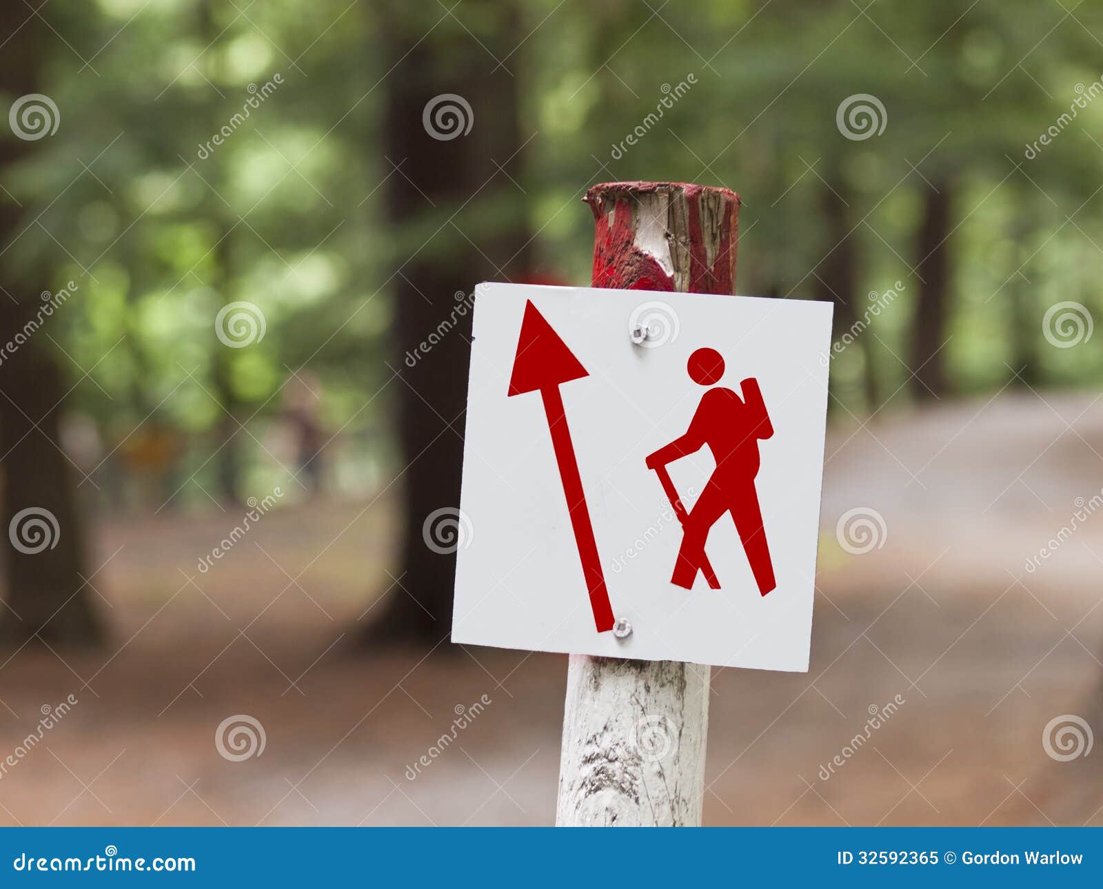 Red Hiking Path Sign in the Forest Stock Image - Image of nature, trees ...