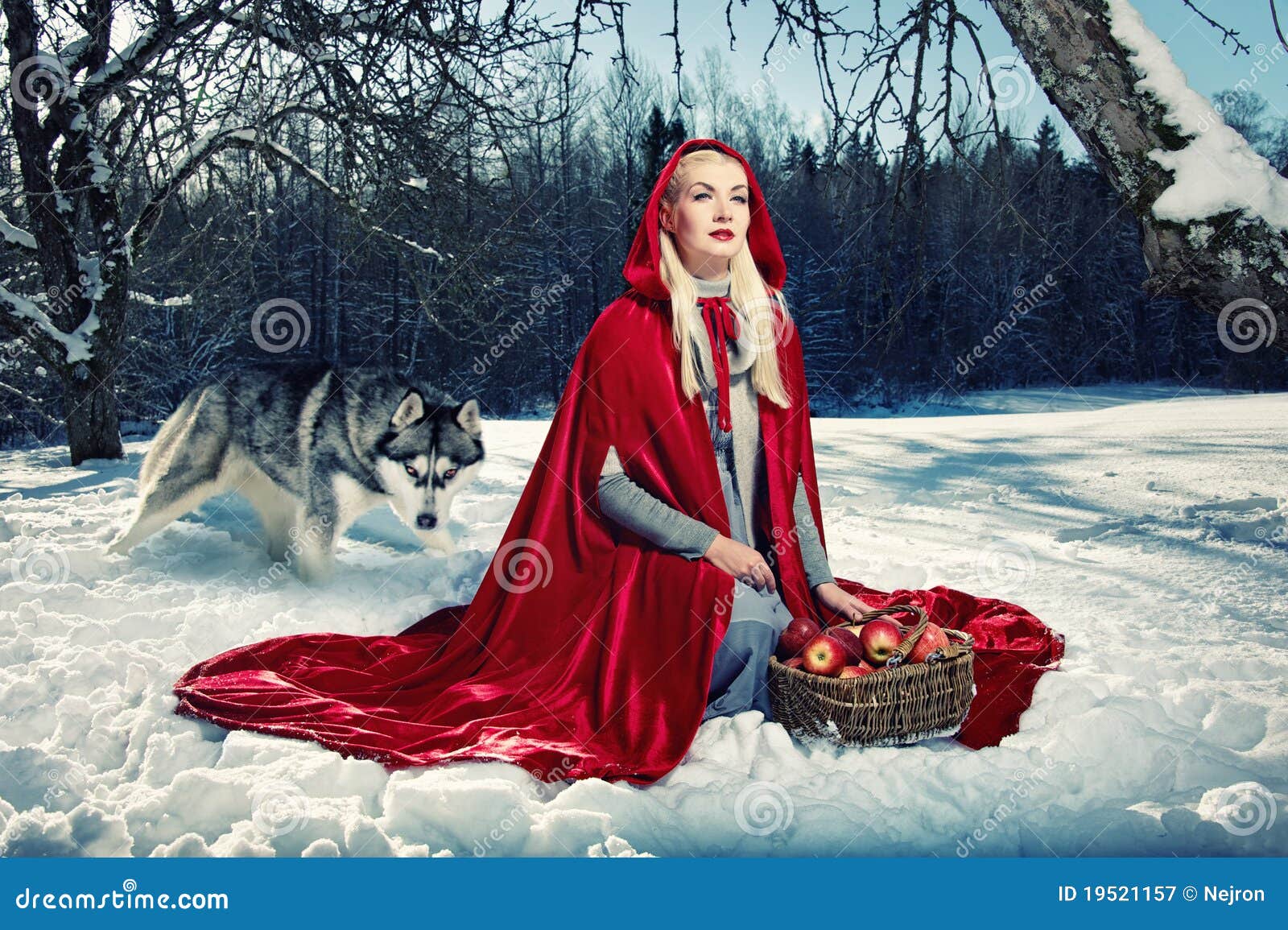 Wolf Behind Fence In Cage 02 Royalty-Free Stock Photo | CartoonDealer ...