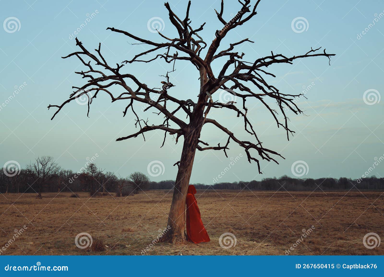 Red Hooded Figure in a Desolate Land Stock Image - Image of surreal ...