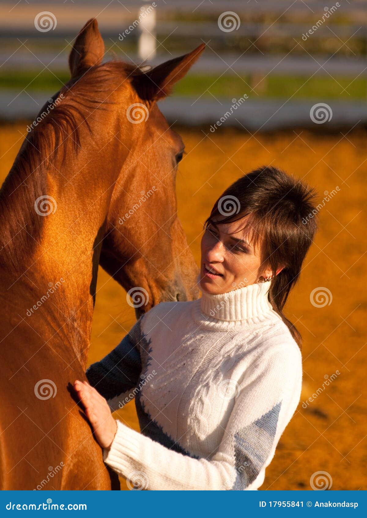 Red horse with his rider stock image. Image of equine - 17955841