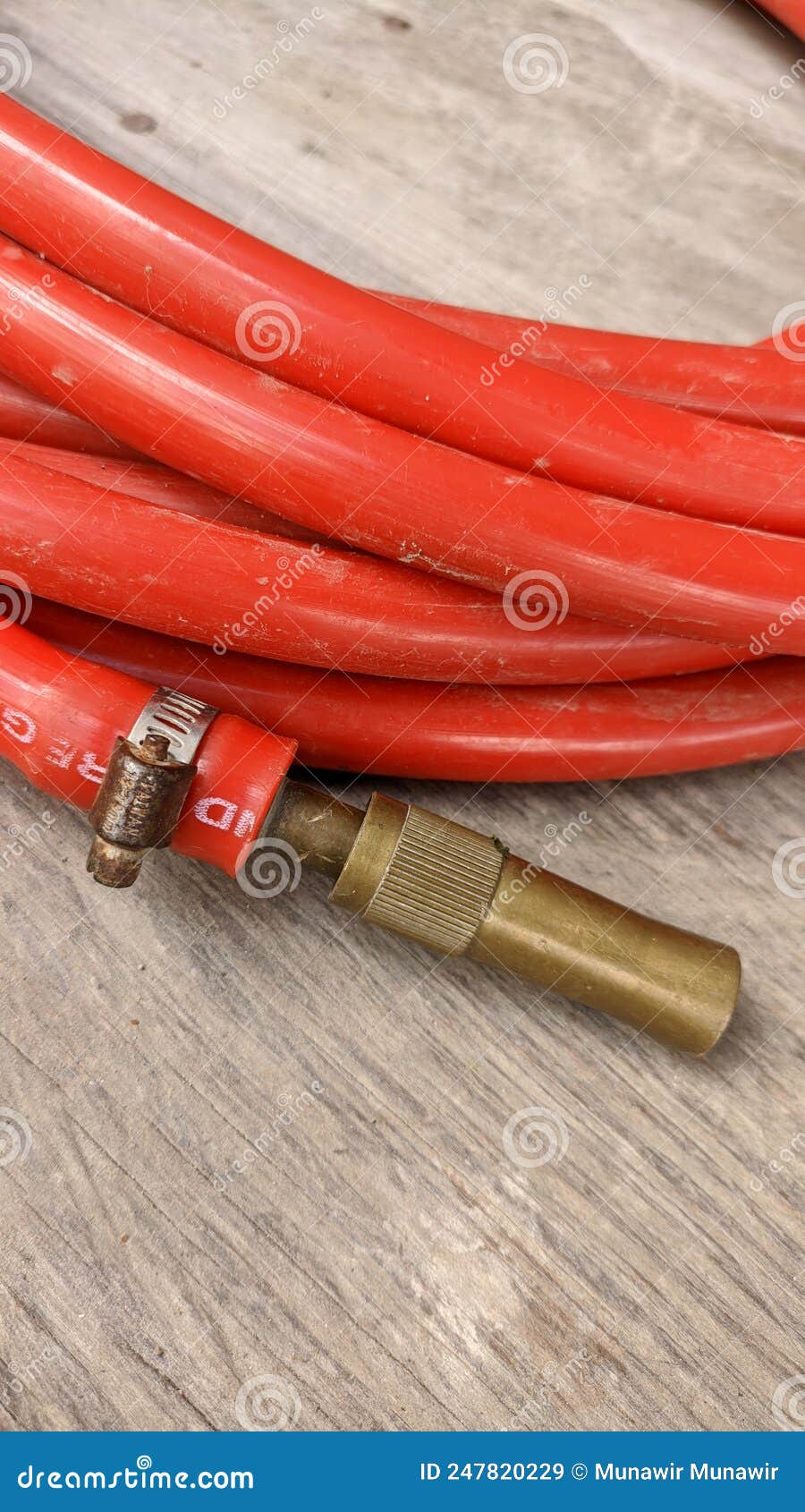 A Red Hose that is Rolled Up on a Board Stock Image - Image of food ...