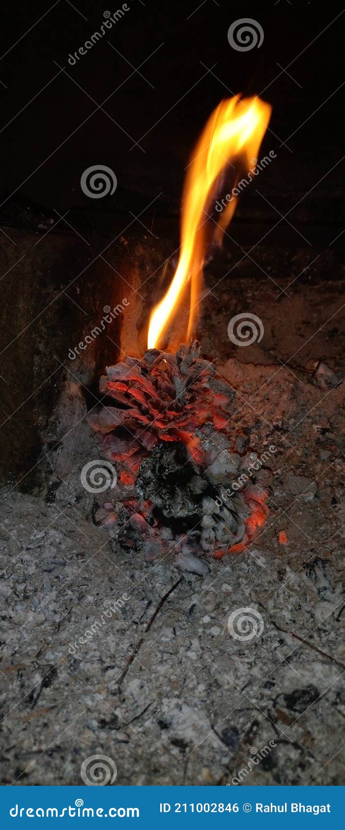 Red hot bone fire with ash stock photo. Image of fire - 211002846