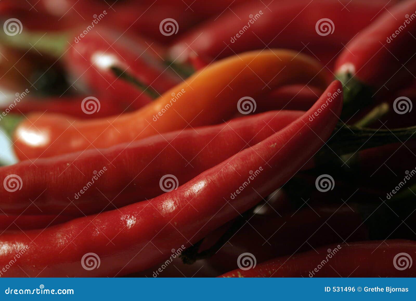 Red hot Chili stock photo. Image of chili, colourful, spicy - 531496