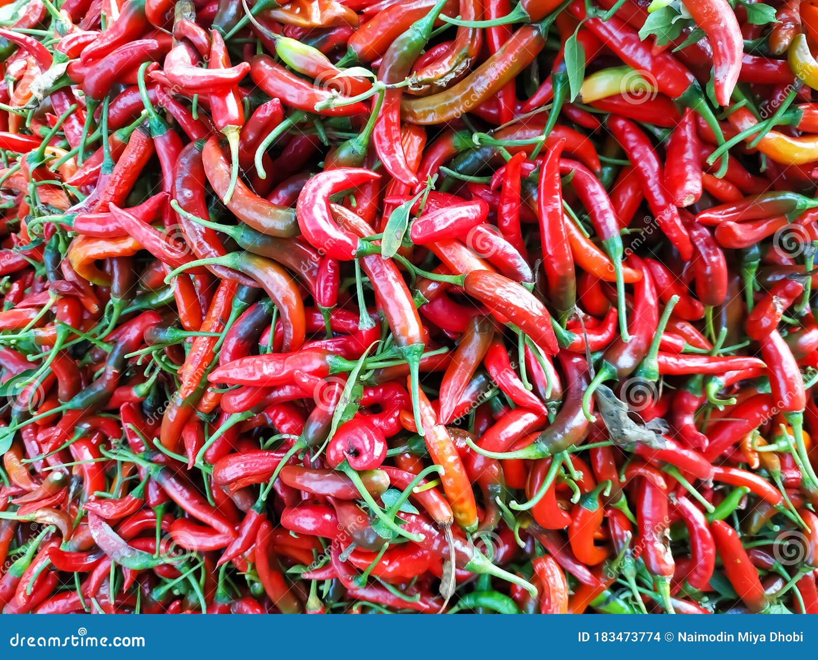 Red Hot Chili Pappers Natural Organic Stock Photo - Image of pappers ...