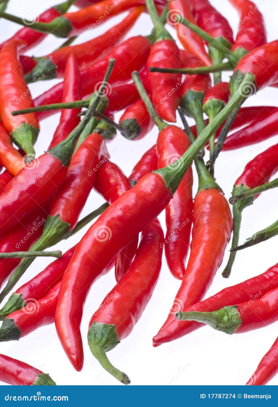 Red hot chili pepper stock photo. Image of flavoring - 17787274