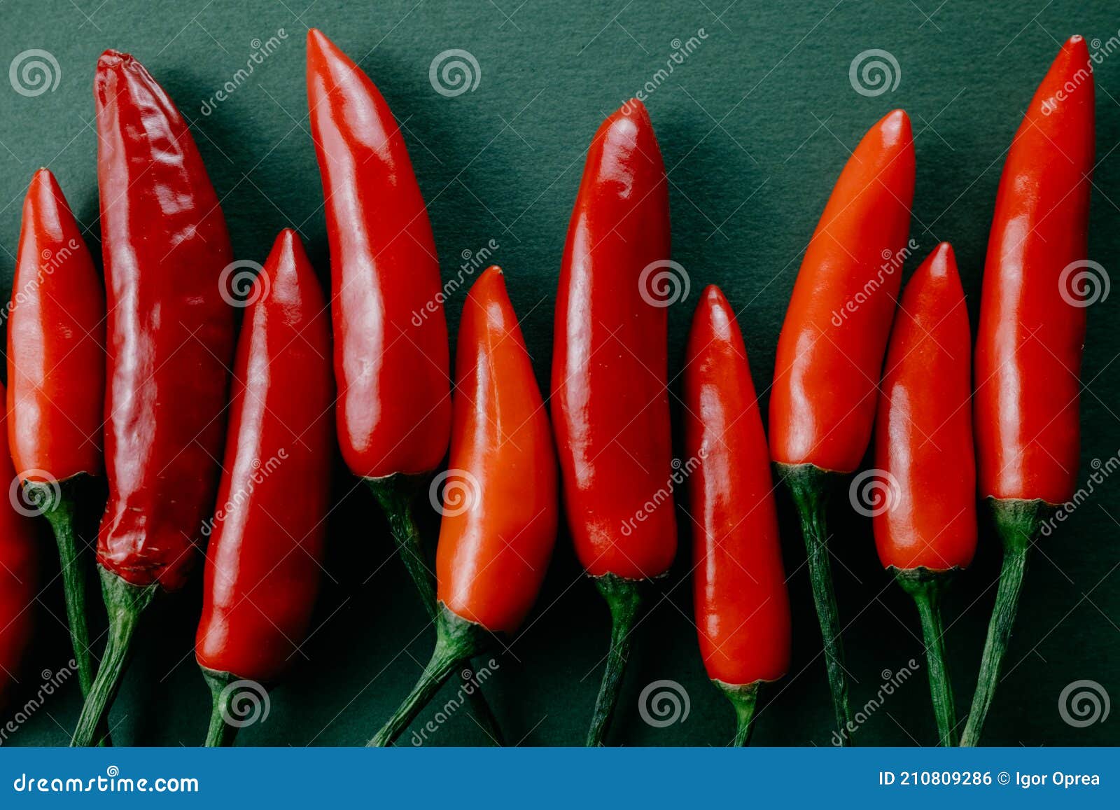 Red Hot Chili Pepper, Copy Space, Beautiful Textures Stock Photo ...