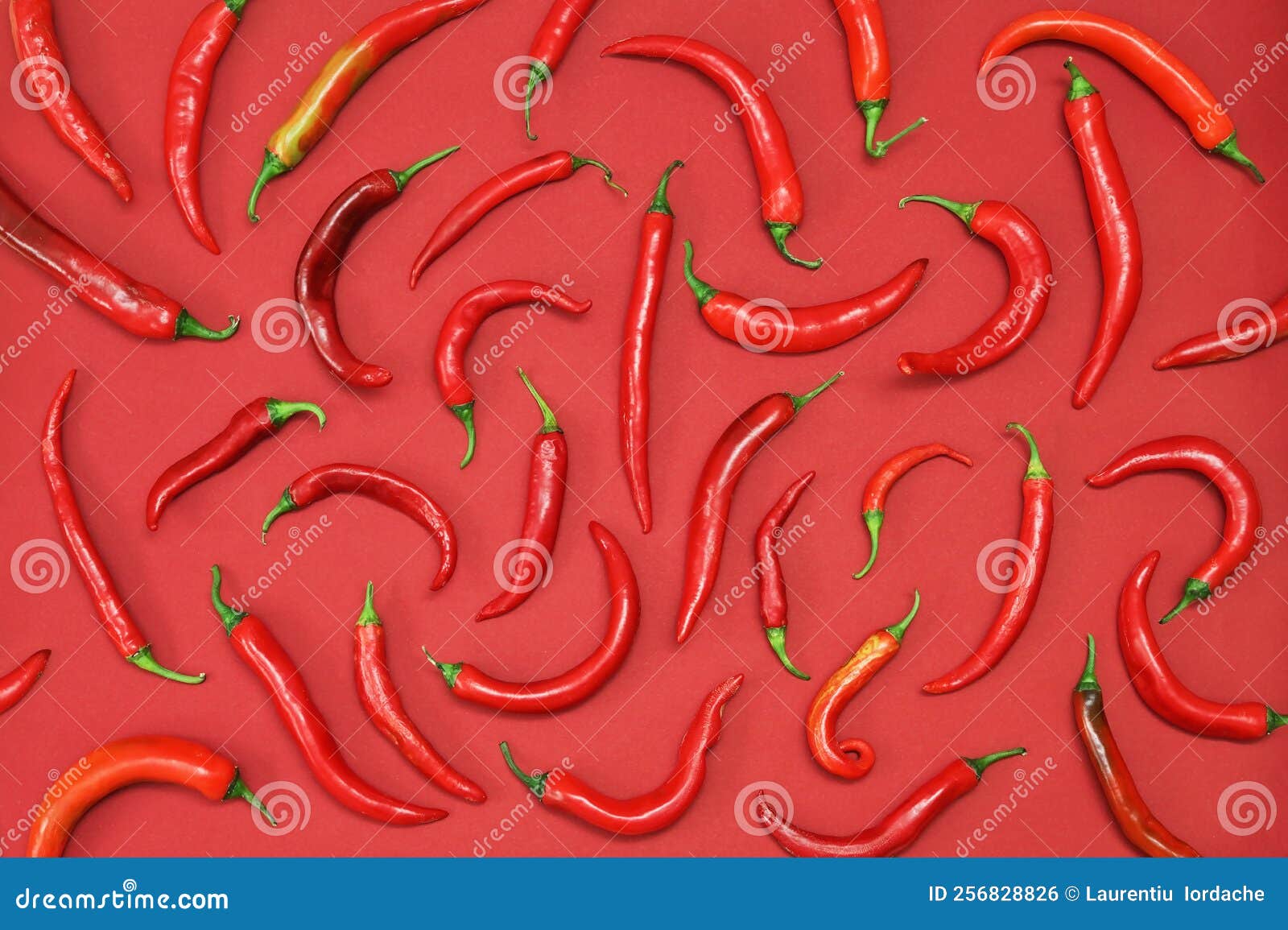Red Hot Chili Peppers Background Stock Photo - Image of color, single ...