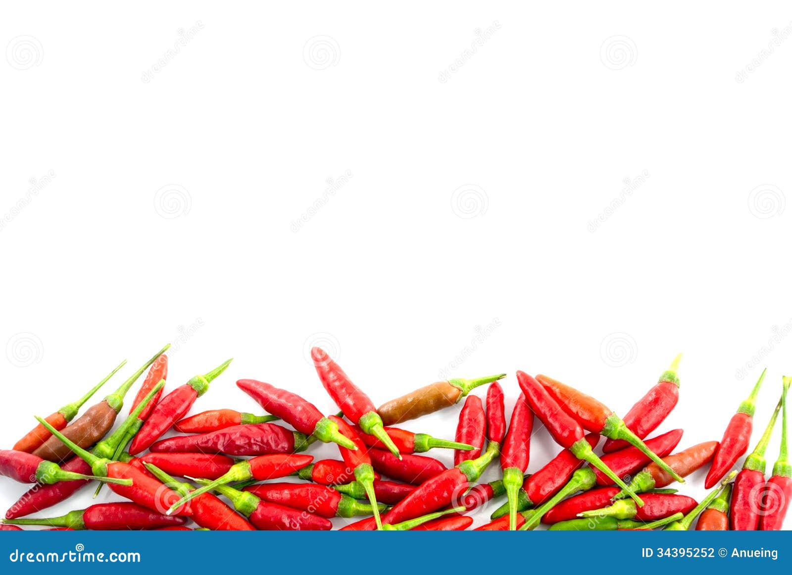 Red hot chili peppers stock photo. Image of nature, fruit - 34395252