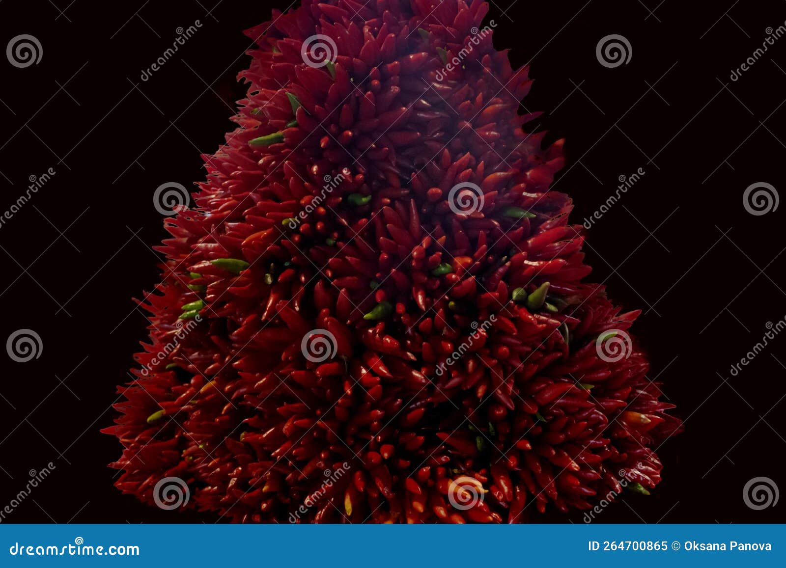 Red Hot Chili Peppers. Red Peppers in the Form of a Christmas Tree on a ...