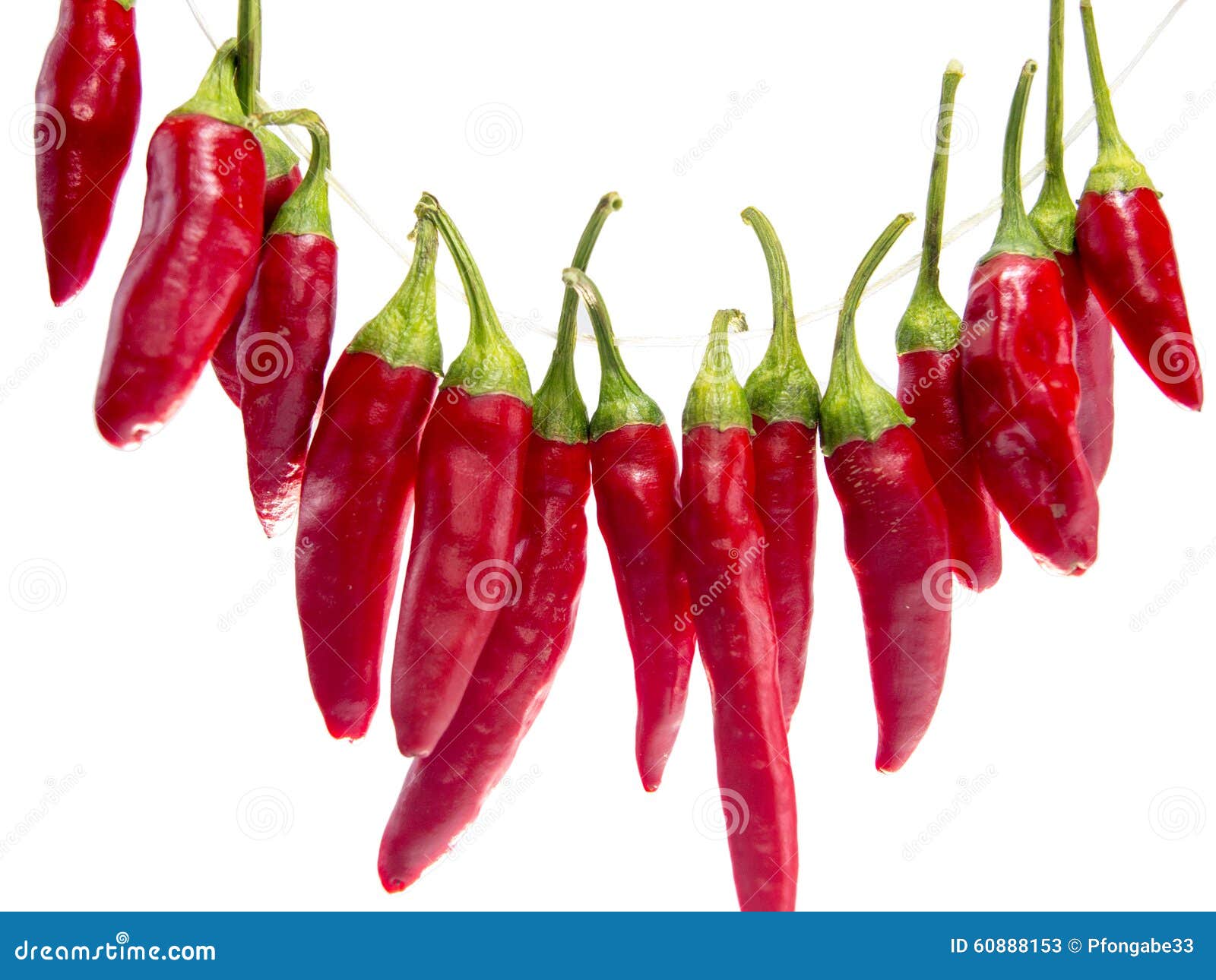 Red Hot Chili Peppers on a String Isolated on White Background Stock ...