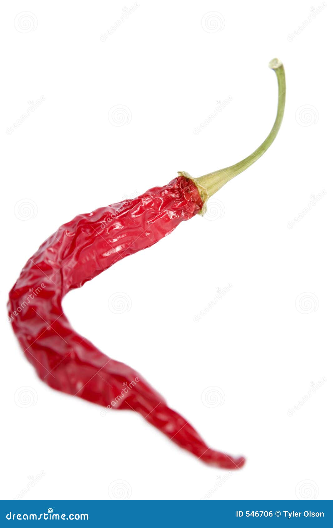 Red Hot Chilli stock photo. Image of pepper, isolated, chilli - 546706