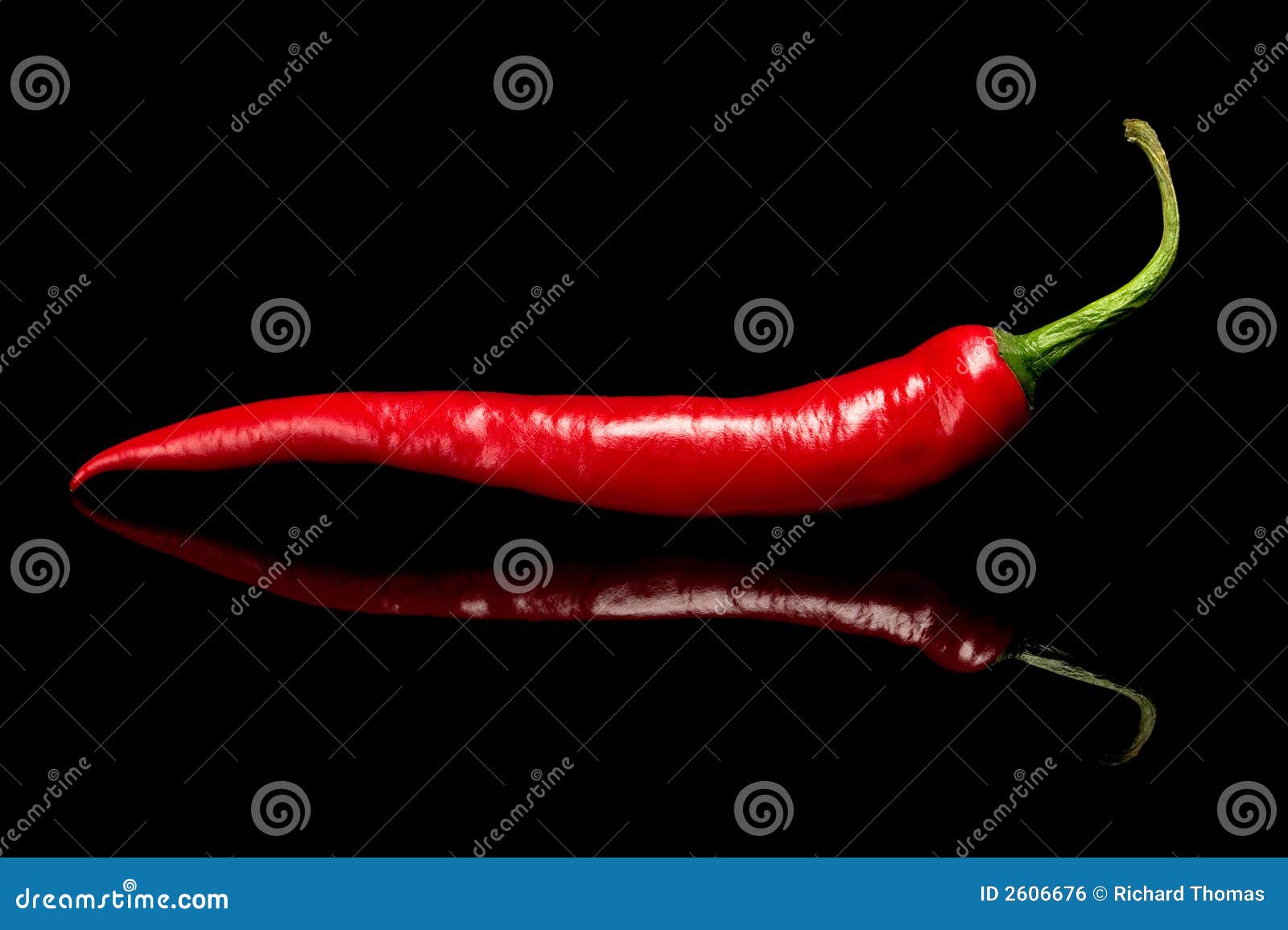 Red hot chilli pepper stock photo. Image of spice, flavoring - 2606676