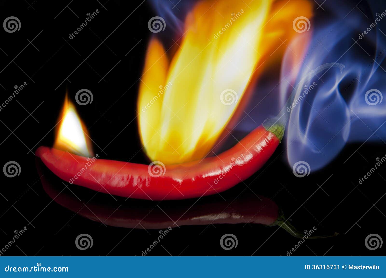 Red Hot Chilli Pepper with Flame Stock Image - Image of flame, healthy ...