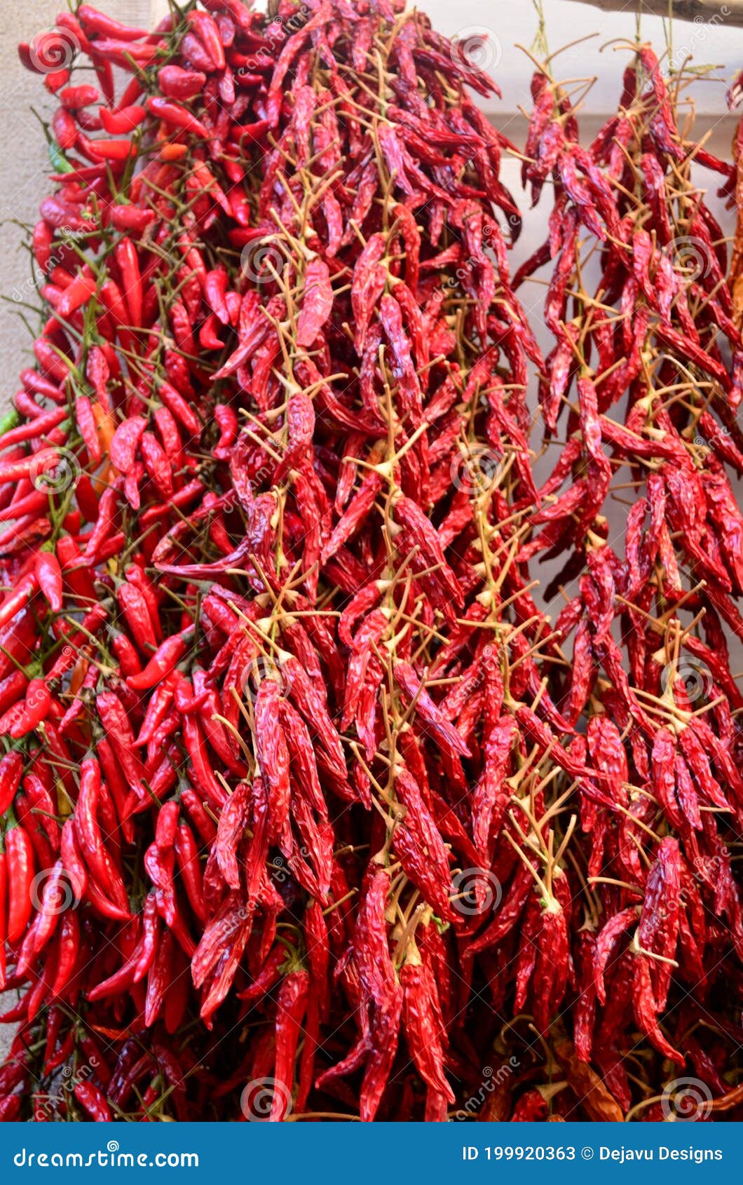 Red Hot Chilli Peppers Hanging and Drying in the Sun Stock Image ...
