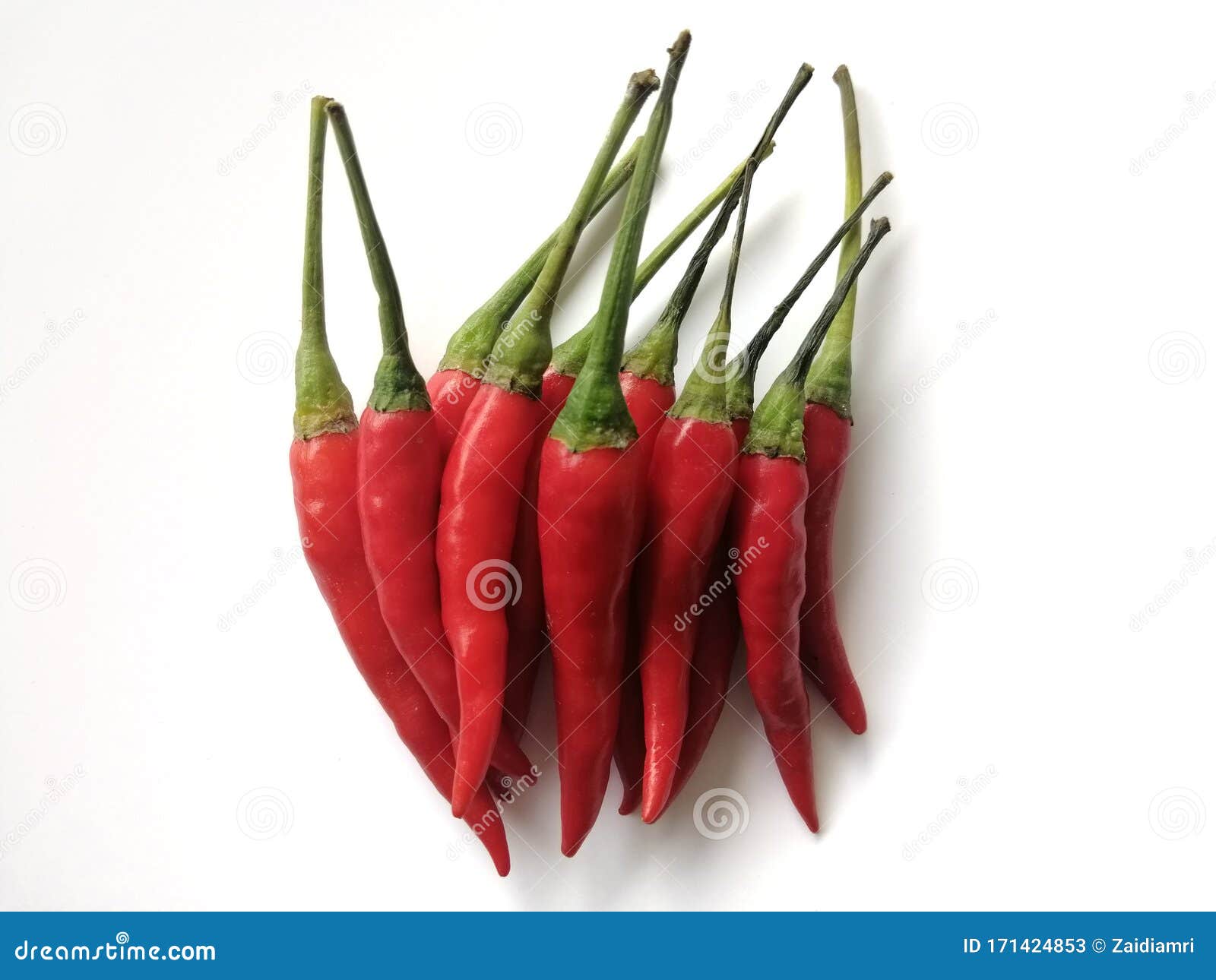 Red Hot Chilli on White Background Stock Image - Image of white, cili ...