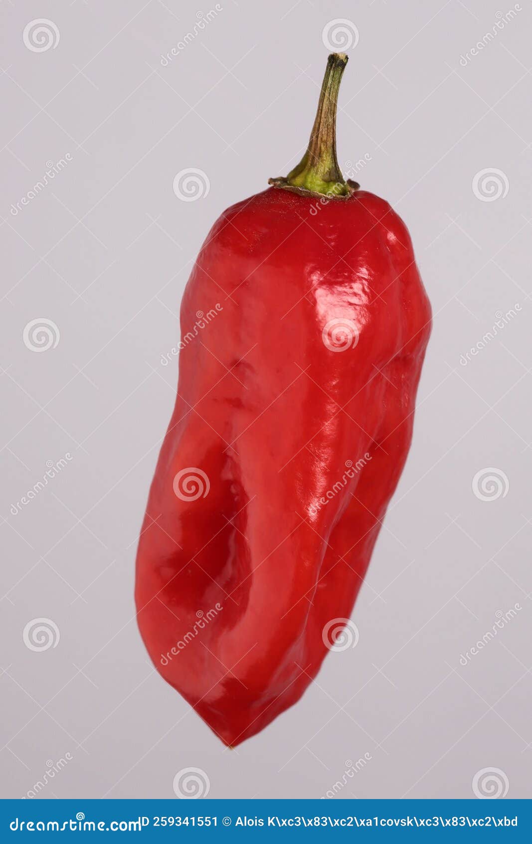 Red Hot Chilly Pepper Full of Capsicum Stock Image - Image of seasoning ...
