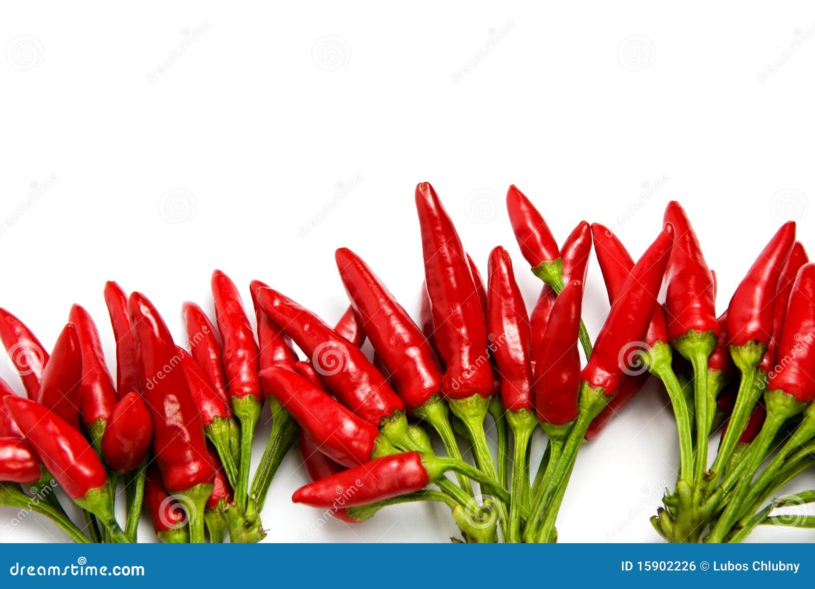 Red hot chilly peppers stock photo. Image of healthy - 15902226