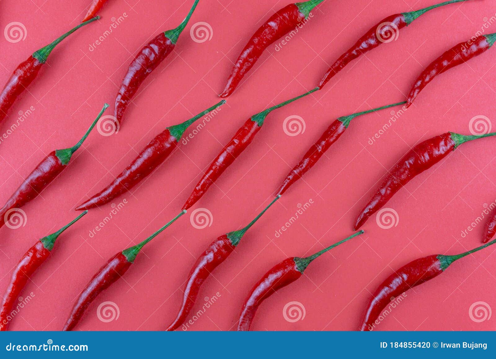 Red Hot Fresh Bird Eye Chilli on Red Background Stock Photo - Image of ...