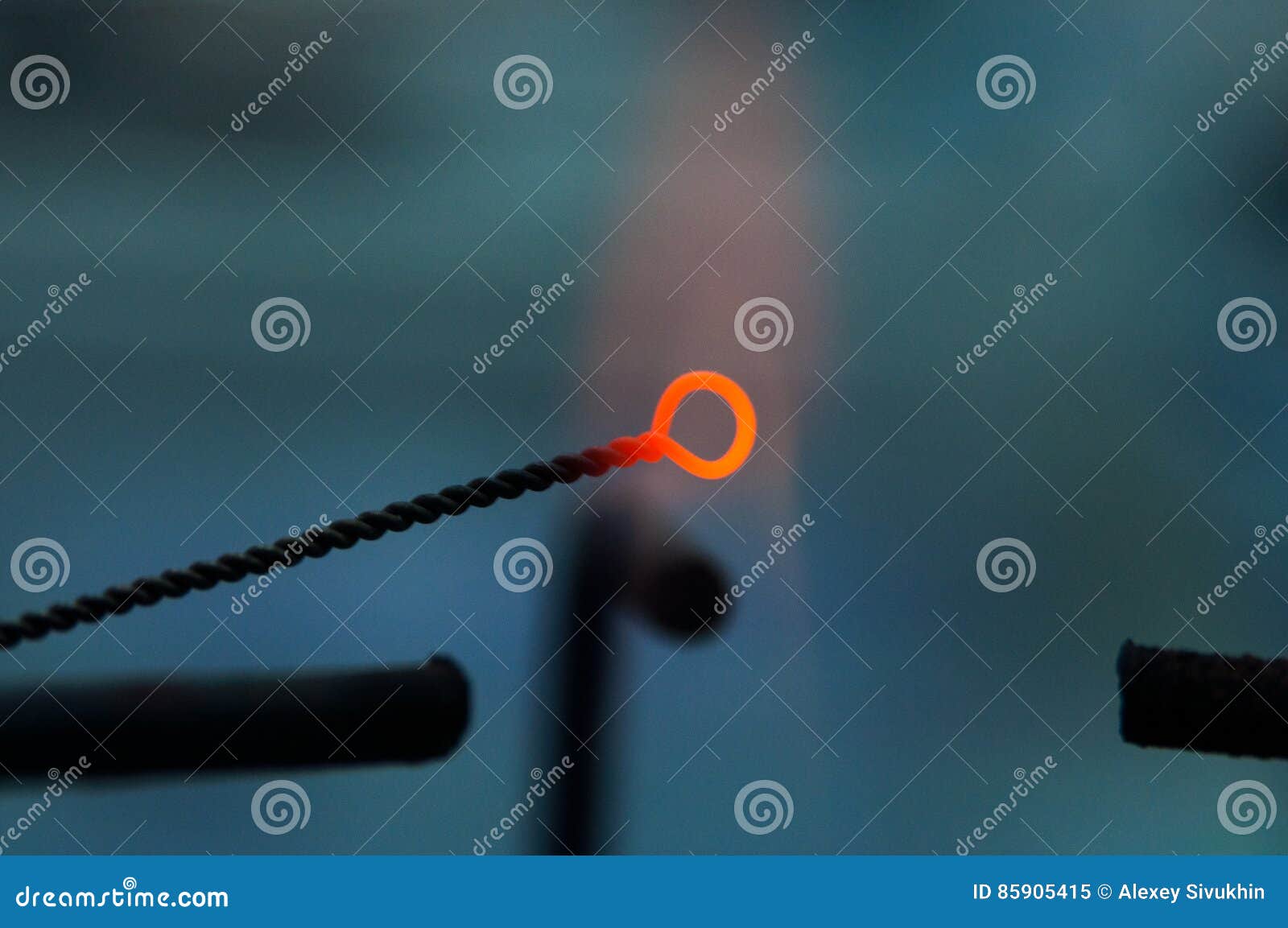 Microbiological Inoculation Loop Being Heated In A Spirit Lamp Flame ...